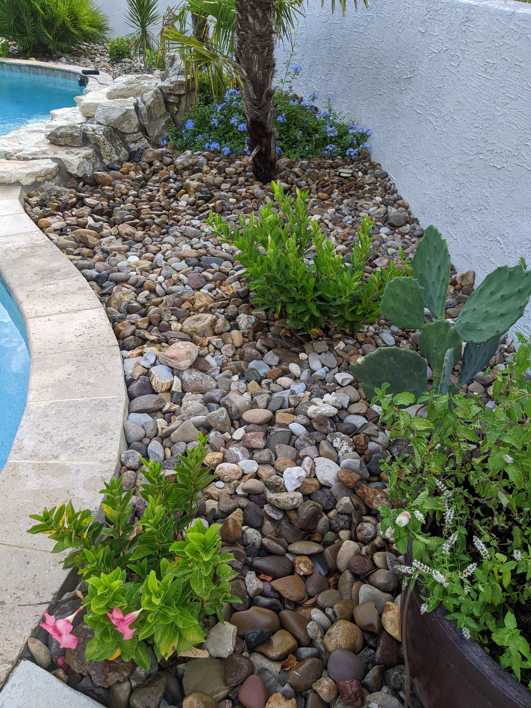 Drip Irrigation and How to Hide Your Manifolds: Bonus How to Find Your ...