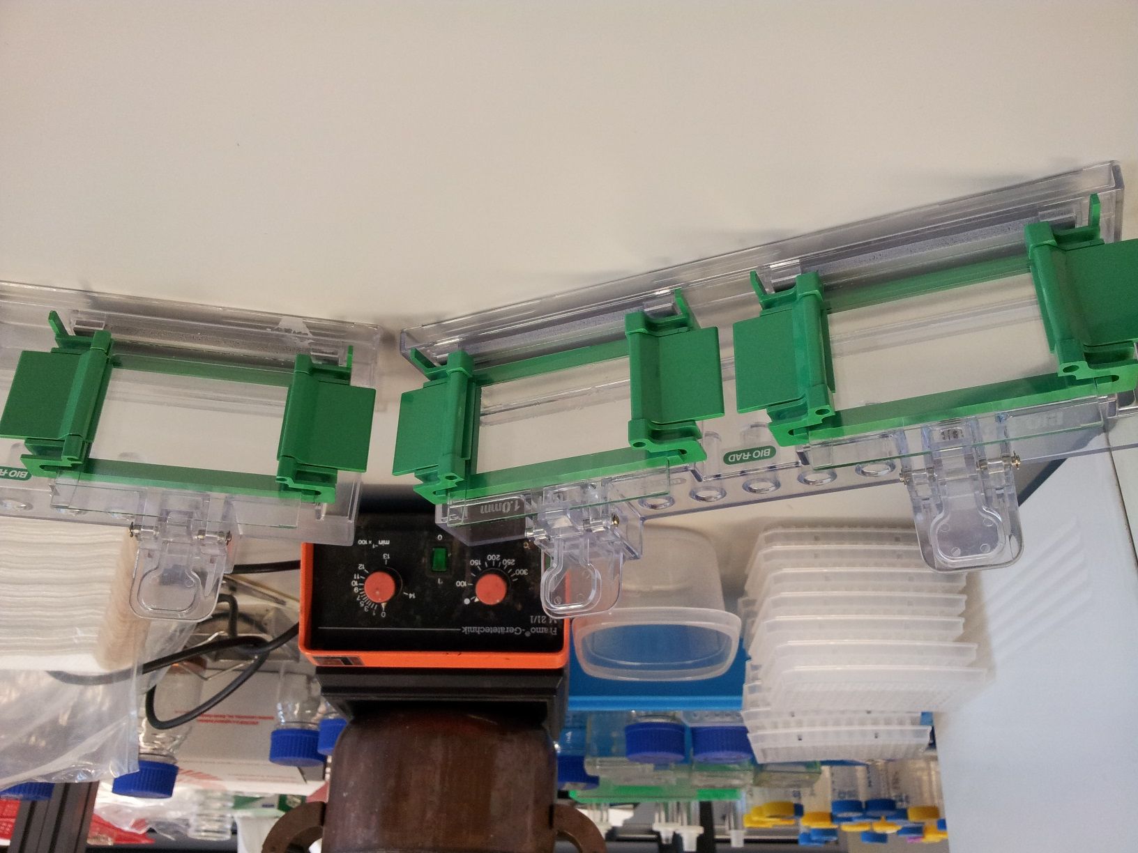 Evaluation for an APS/TEMED Aliquot in the SDS-PA Gel Protocol : 8 ...