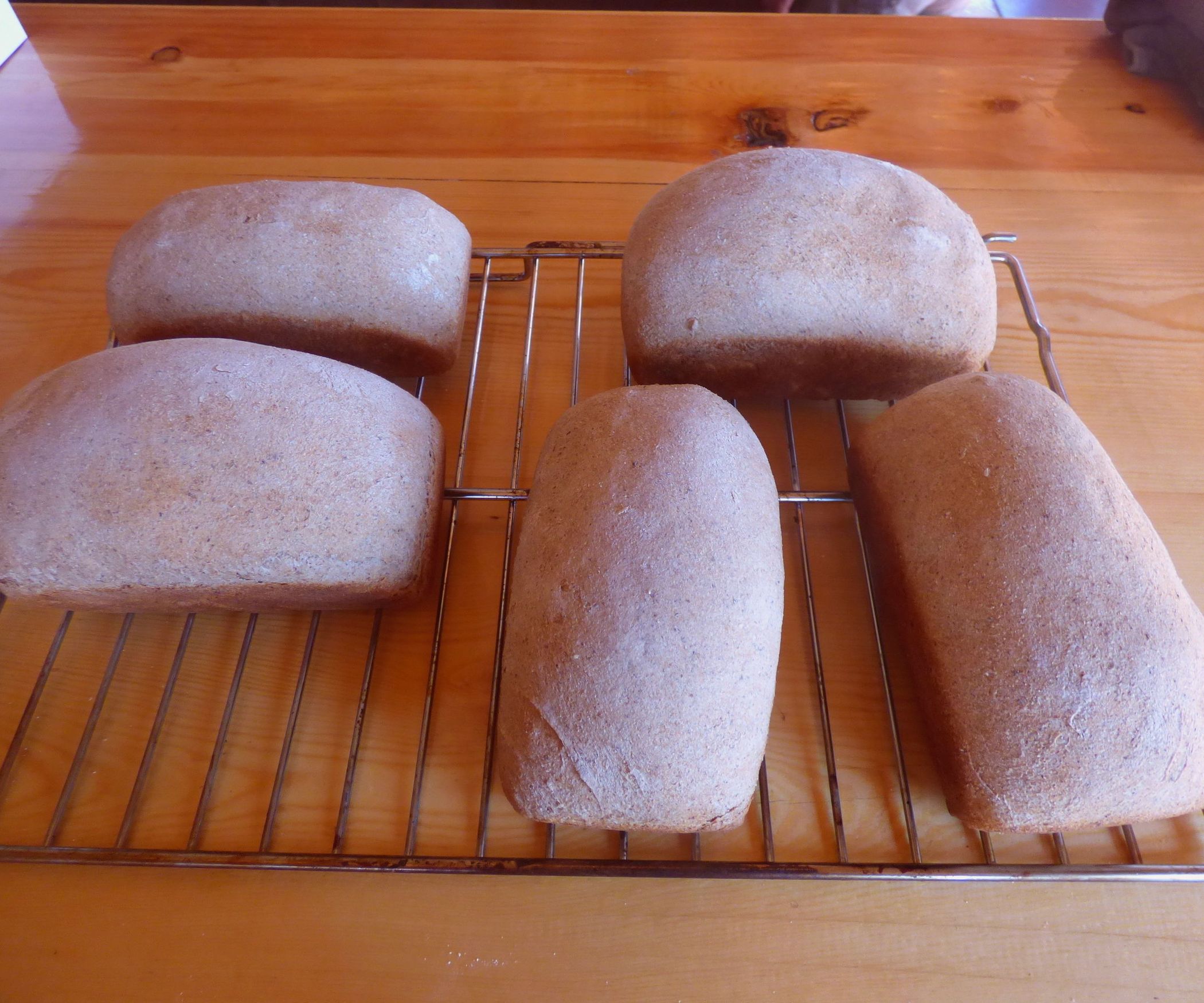 Whole Grain Wheat Bread : 12 Steps (with Pictures) - Instructables