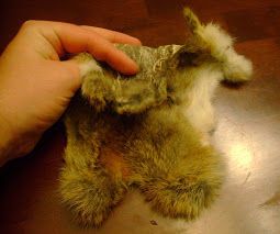 How to Tan Rabbit Hide (with Egg Yolk) : 5 Steps - Instructables