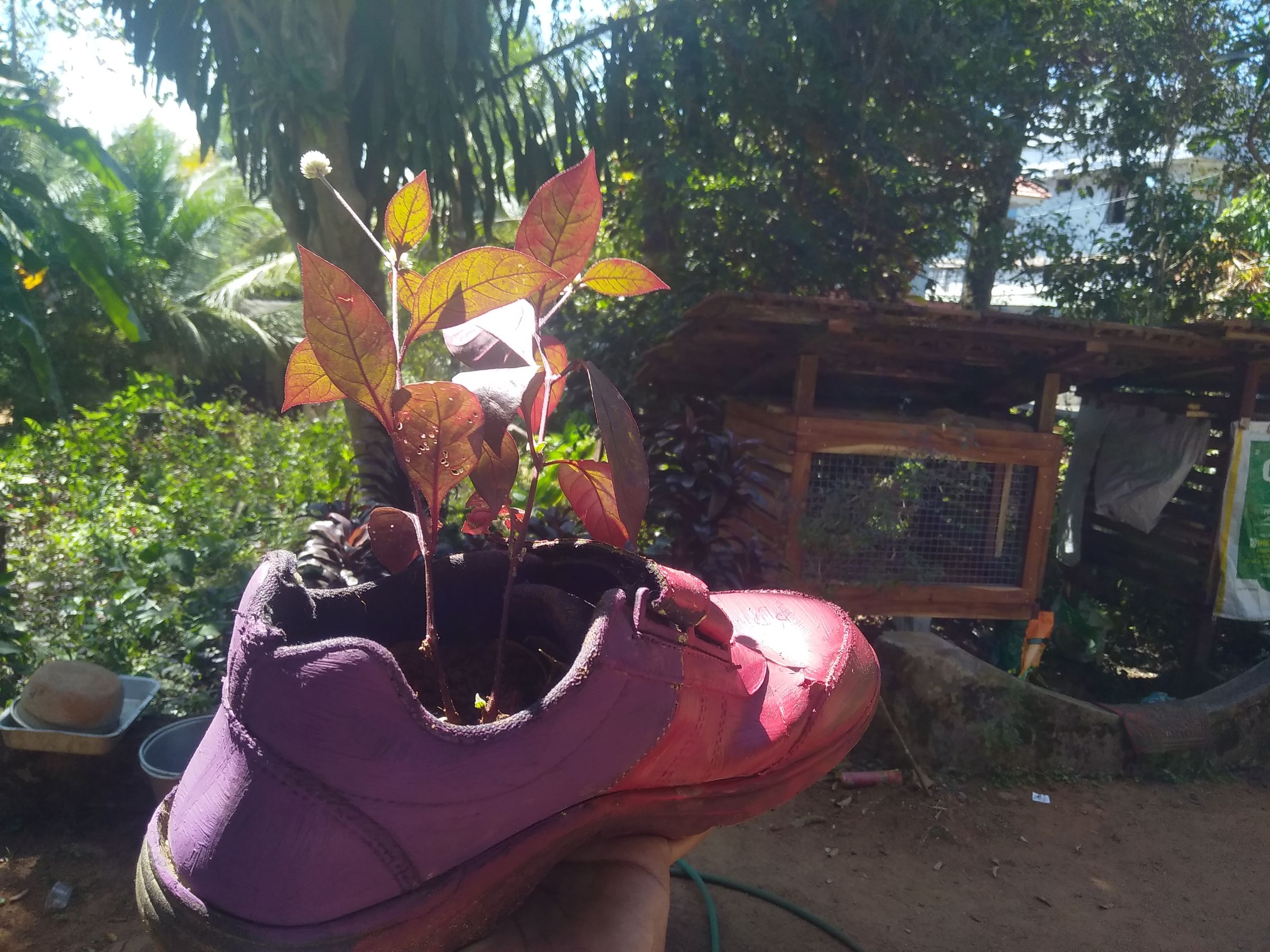 Eco Friendly Shoe Flowerpot With LED 2.0 : 5 Steps (with Pictures ...