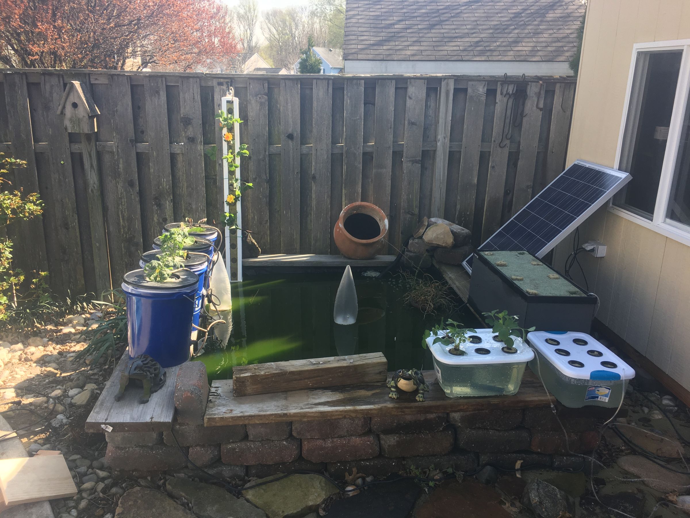Hydroponics & Aquaponics Koi Pond : 5 Steps - Instructables