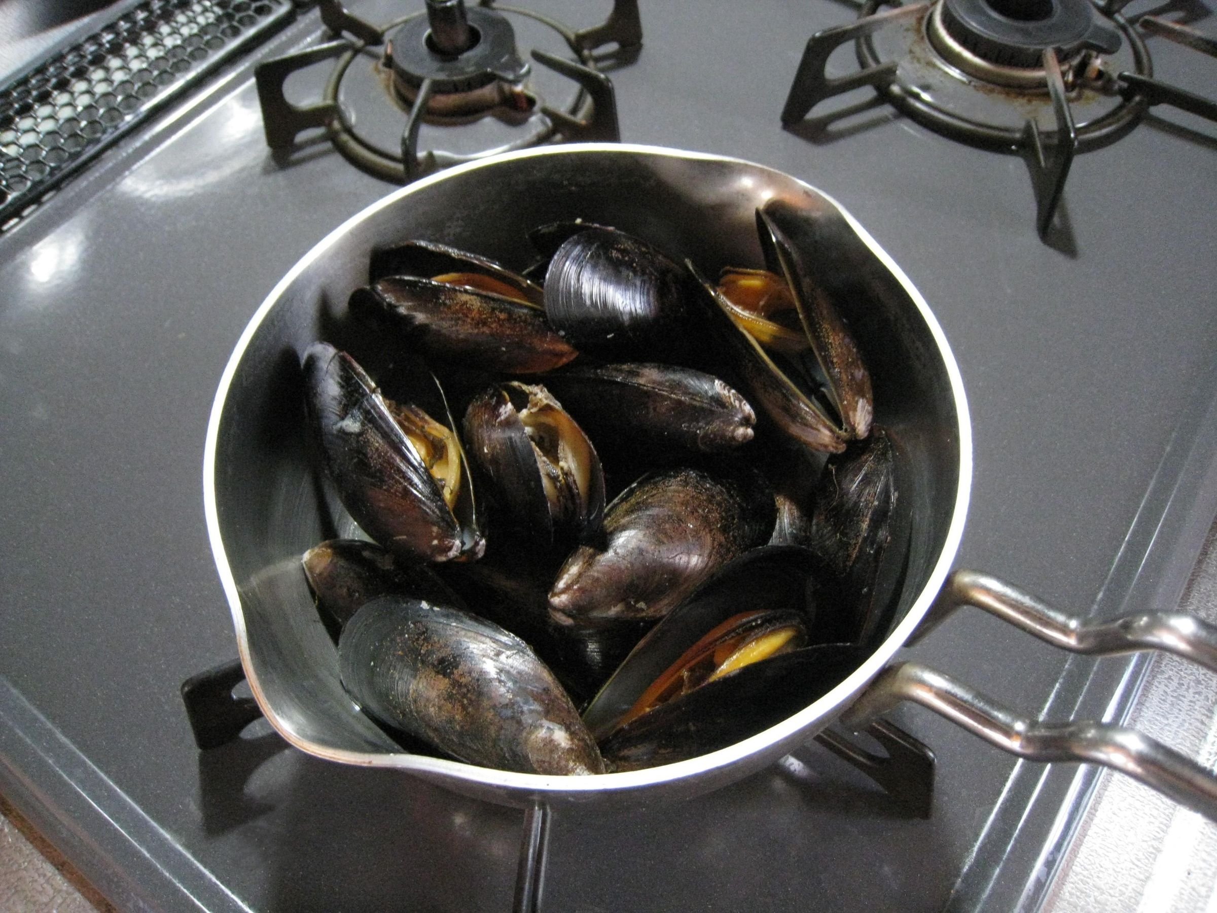 Chinese Soup Spoon Making Out of Mussel : 6 Steps - Instructables
