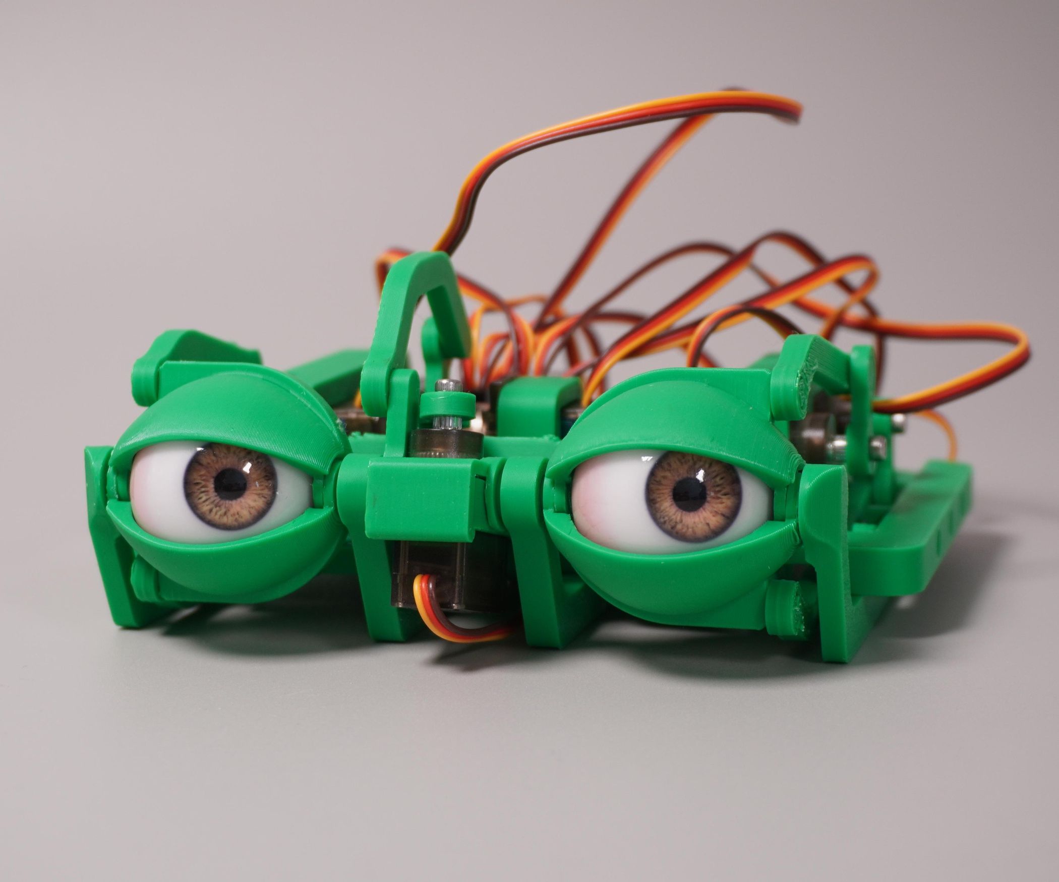Animatronic Eye Mechanism : 6 Steps (with Pictures) - Instructables