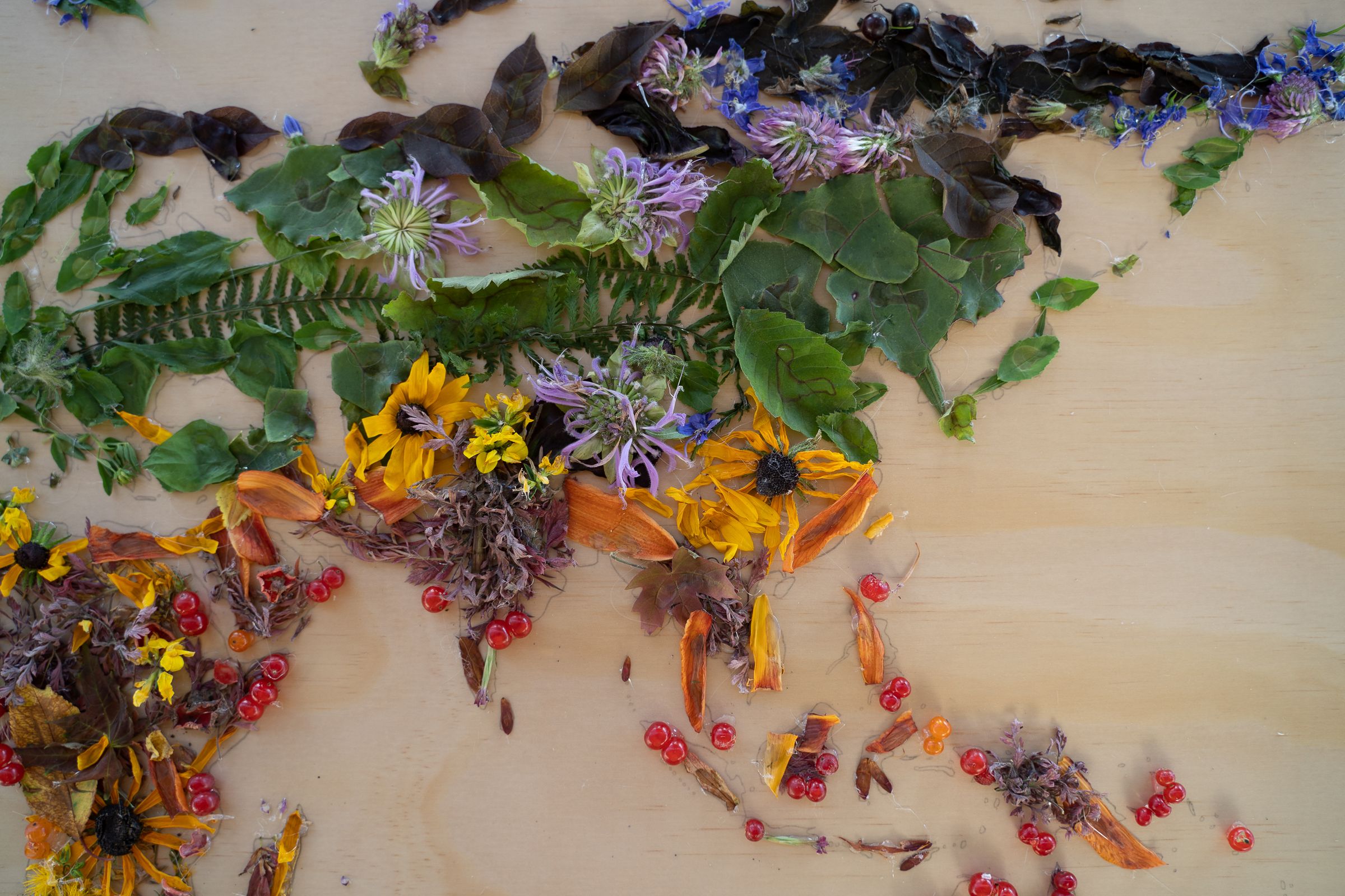 Creating a Map With Flowers + Constructing Your Own Artistic Style : 5 ...