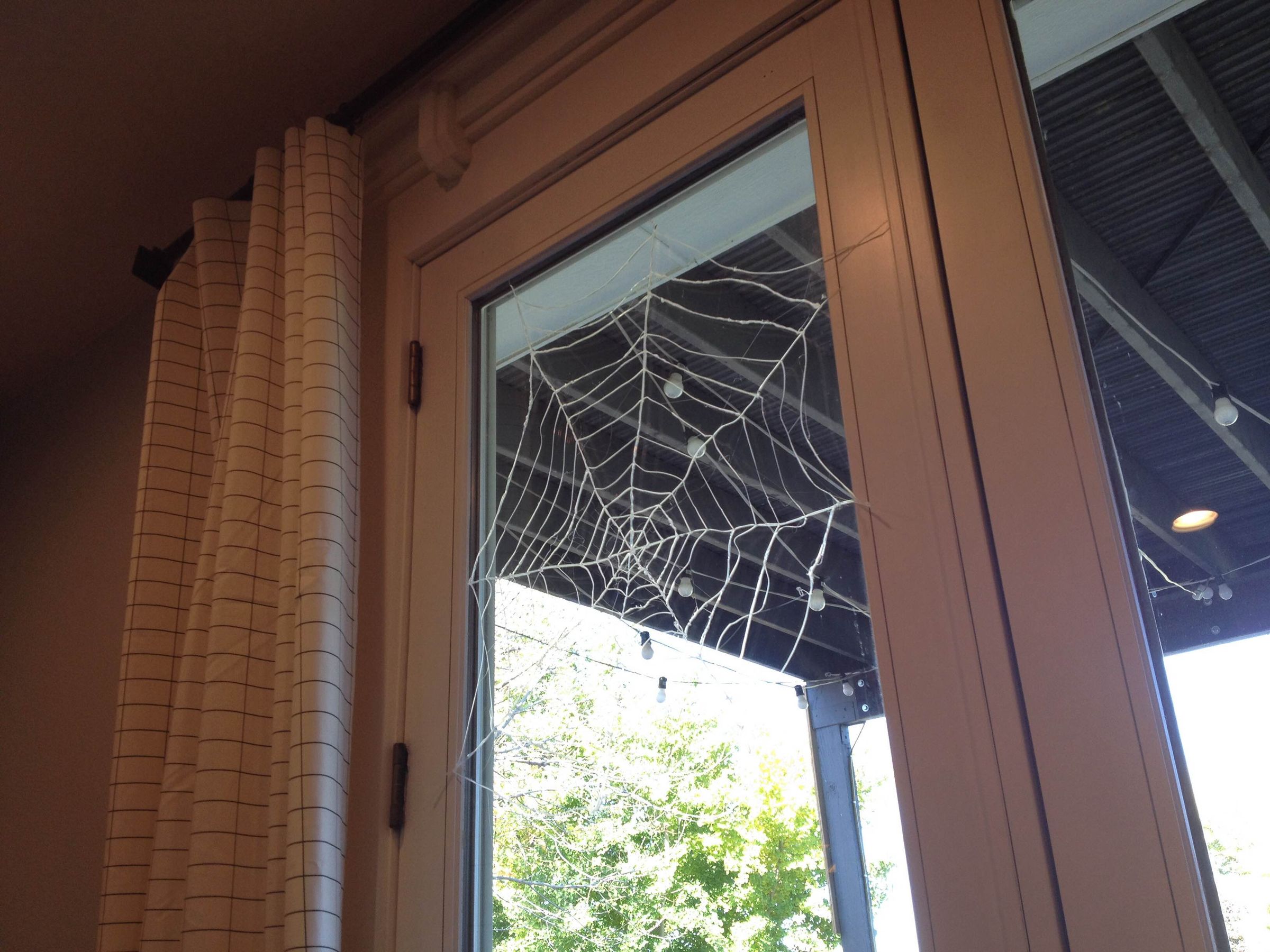 Easy Glue Spider Web : 3 Steps (with Pictures) - Instructables