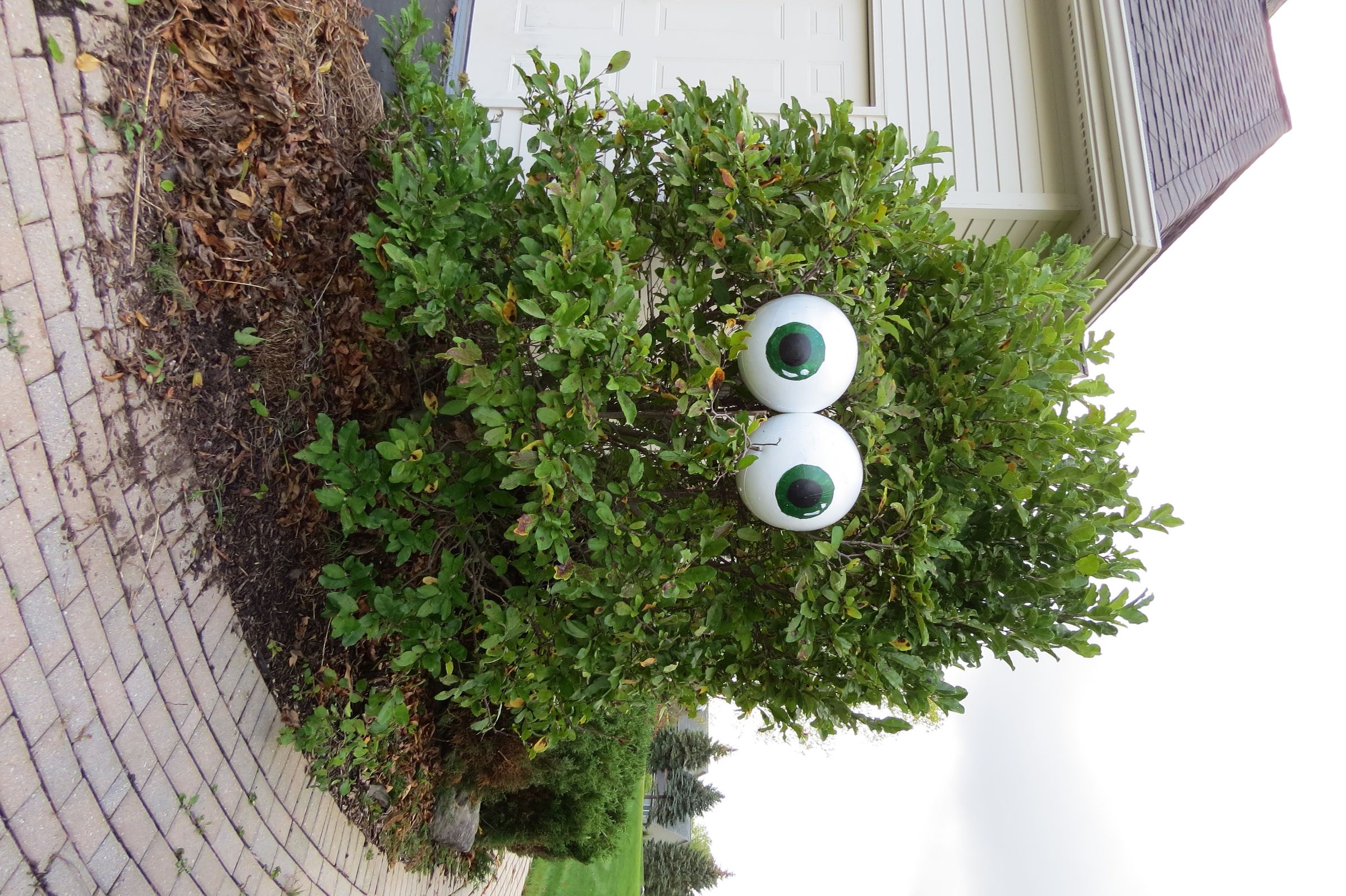 Giant Eyeball Decor : 6 Steps (with Pictures) - Instructables