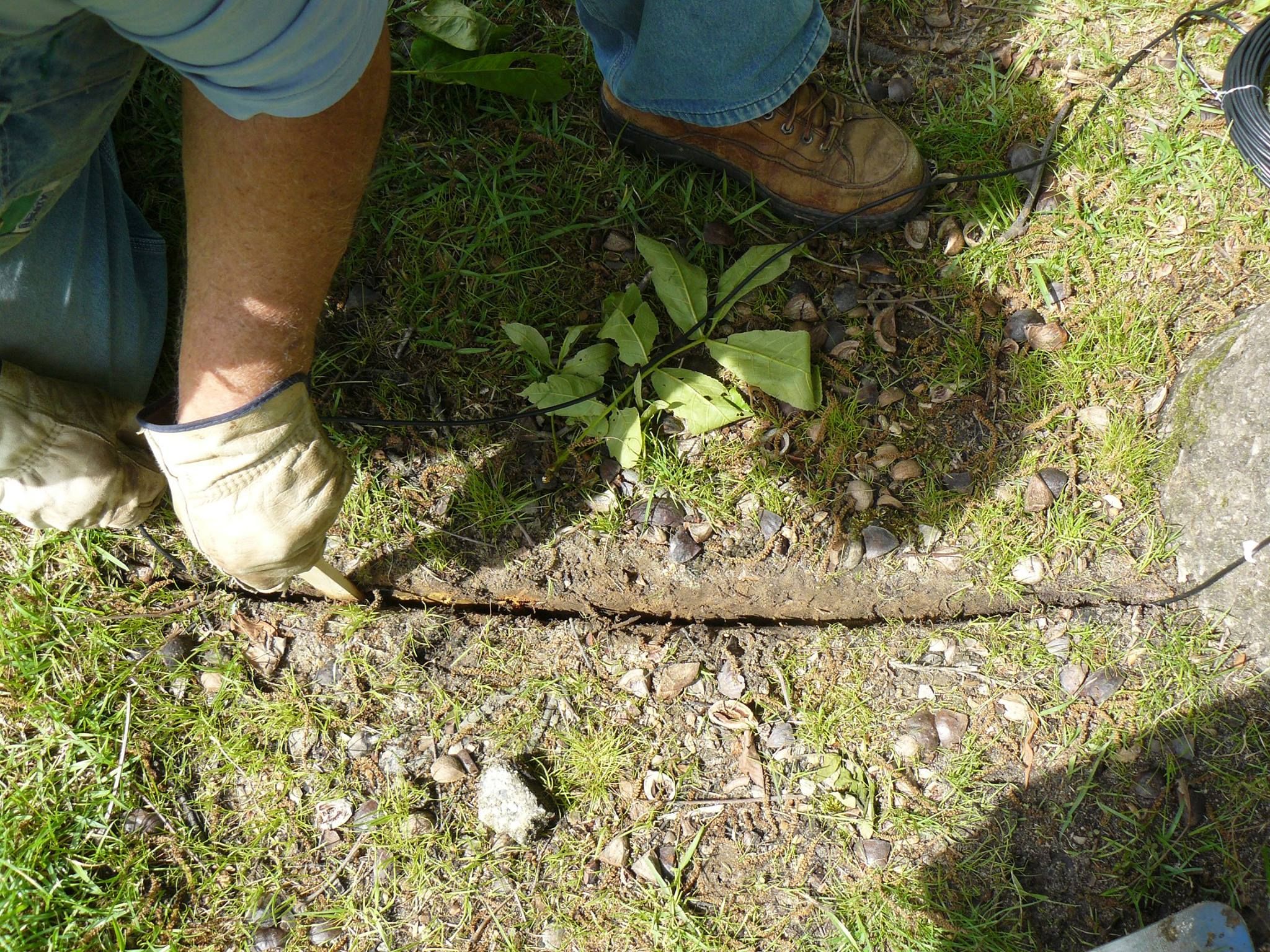 Flying Squirrel House W/Spy Cam : 4 Steps (with Pictures) - Instructables