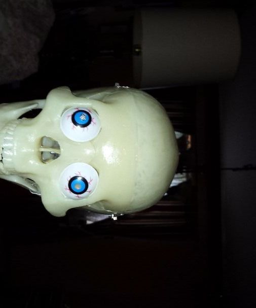 Scary Terry Talking Skull Stand : 10 Steps - Instructables