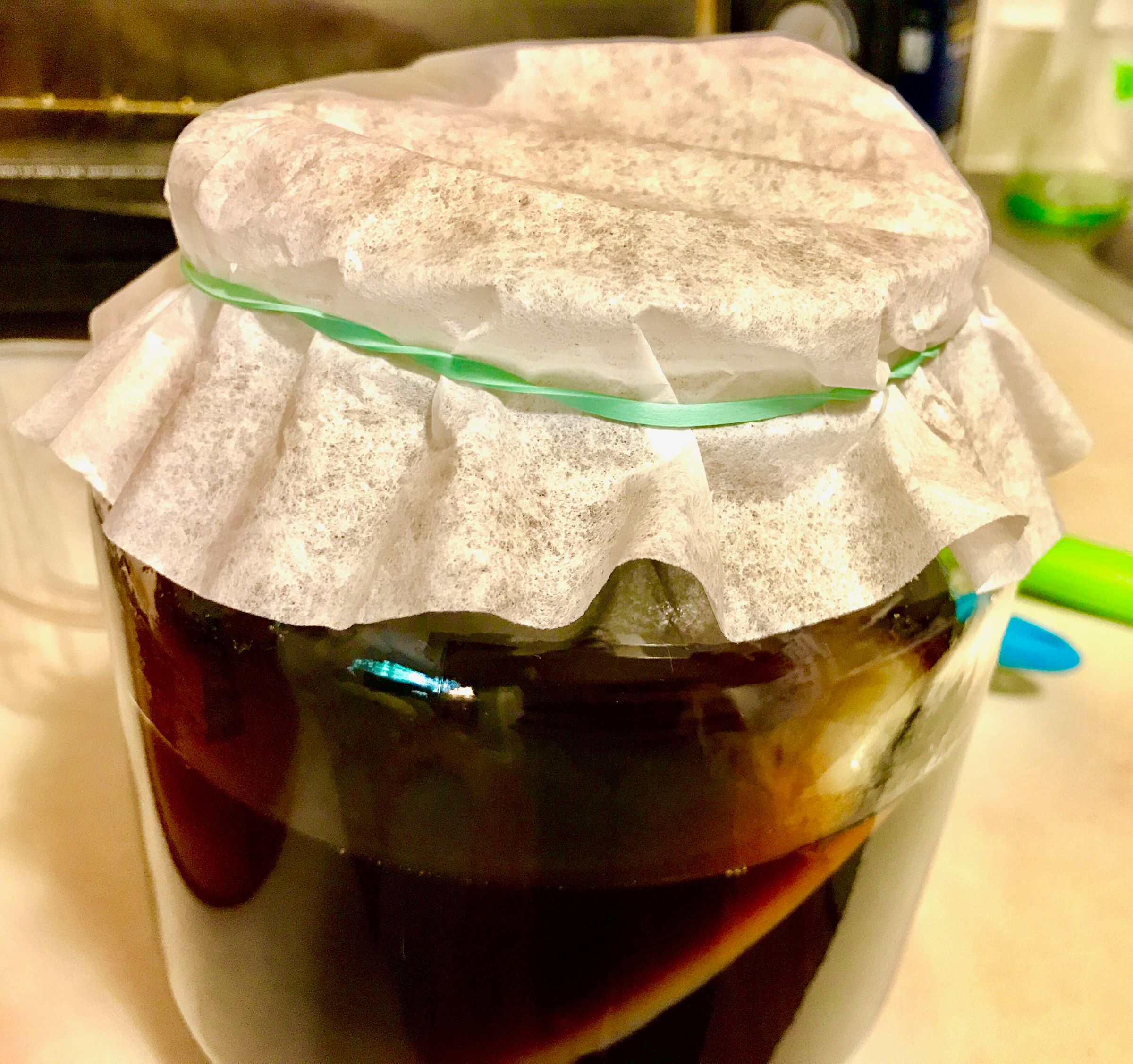 How to Grow a SCOBY : 4 Steps (with Pictures) - Instructables