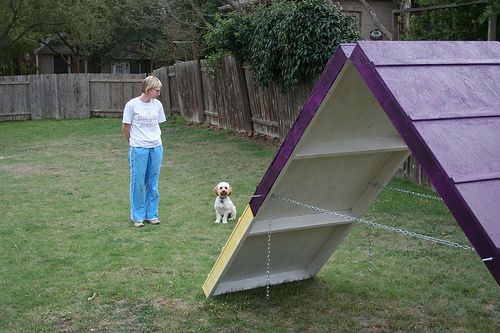 DIY Dog Agility A-Frame : 7 Steps (with Pictures) - Instructables