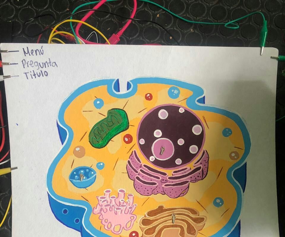 Modelo Celular Interactivo : 3 Steps - Instructables