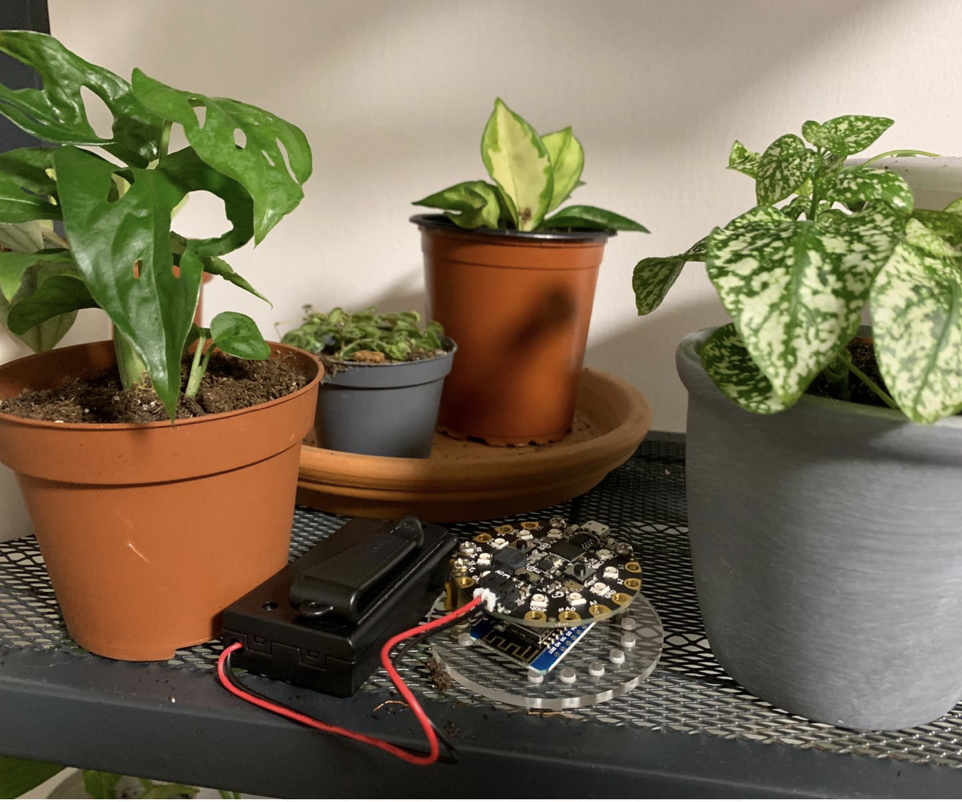 Plant Care With IOT : 9 Steps (with Pictures) - Instructables