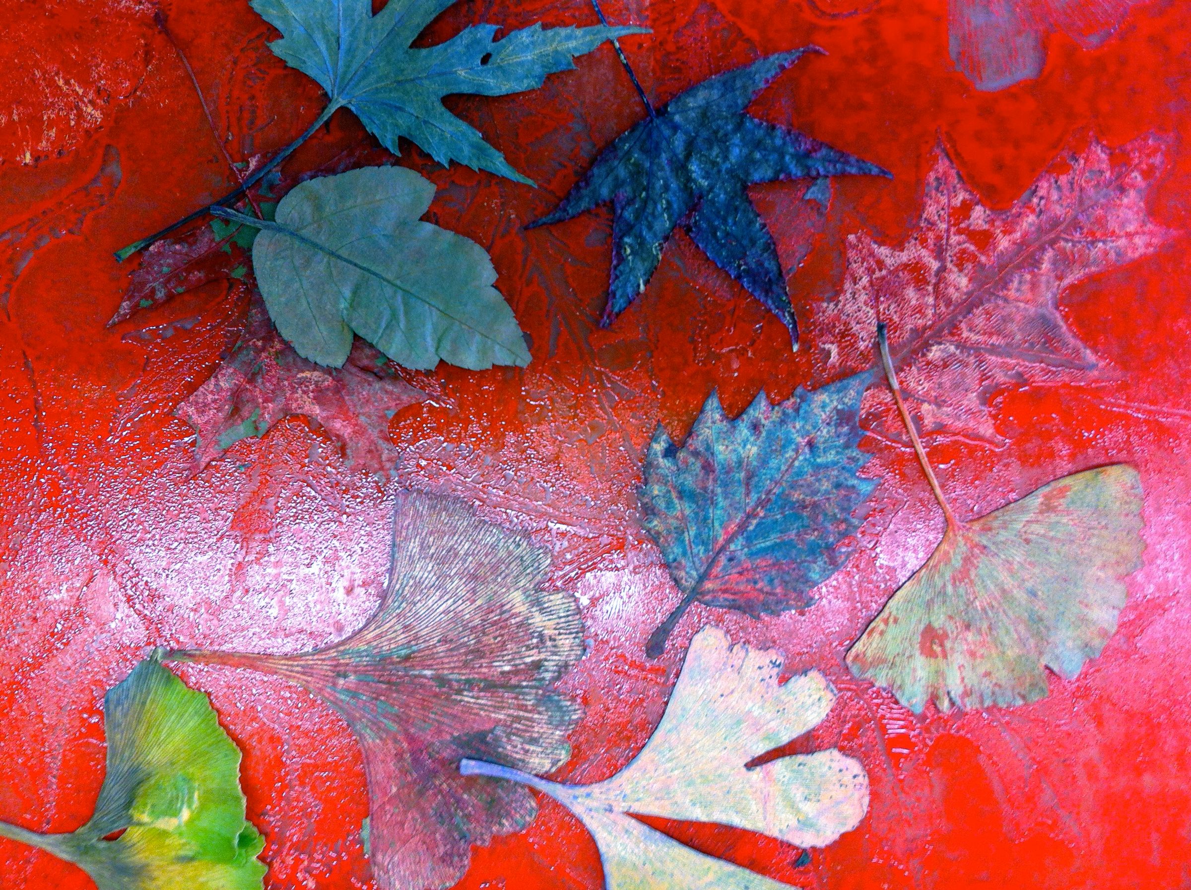 LEAF PRINTS : 18 Steps - Instructables