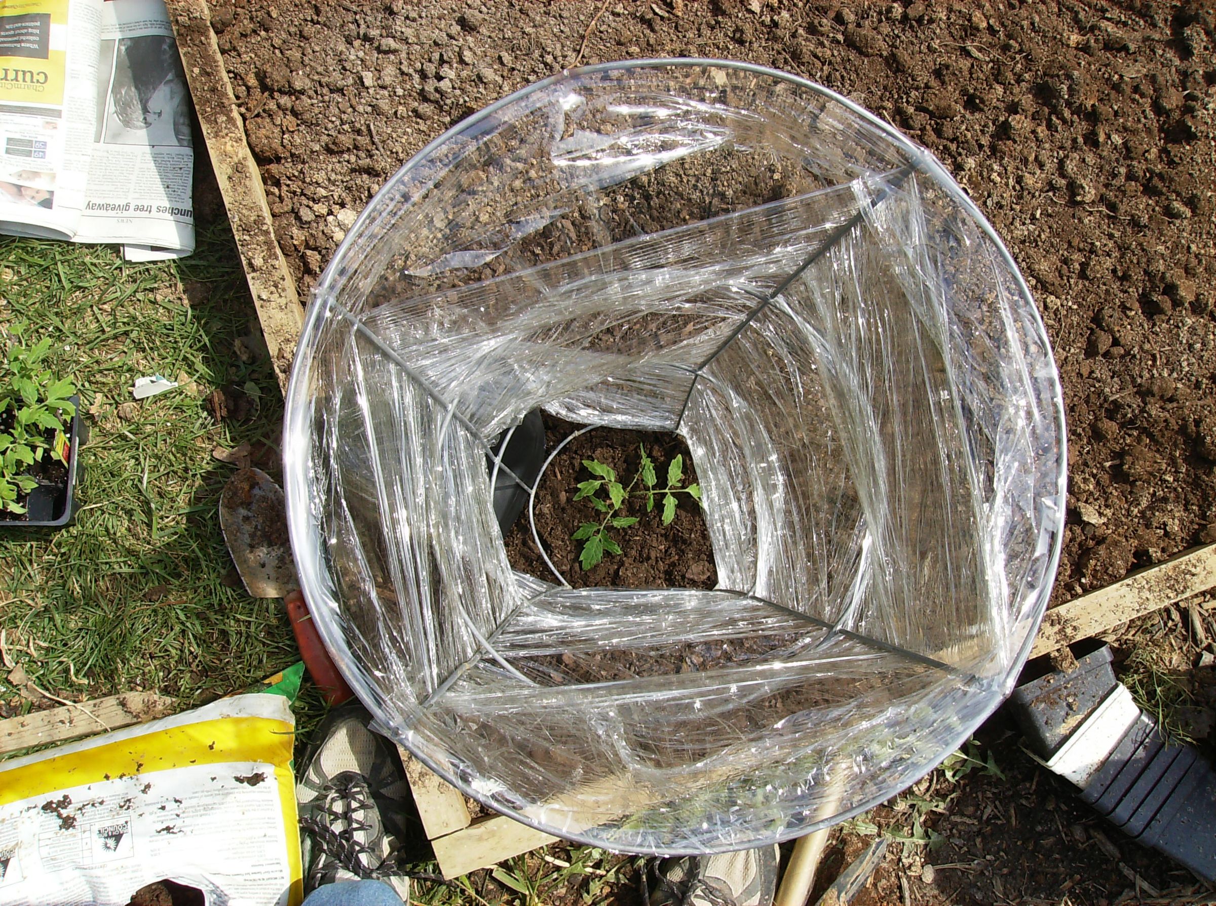 How to Quickly Build a Hot-House Tomato Cage : 6 Steps - Instructables