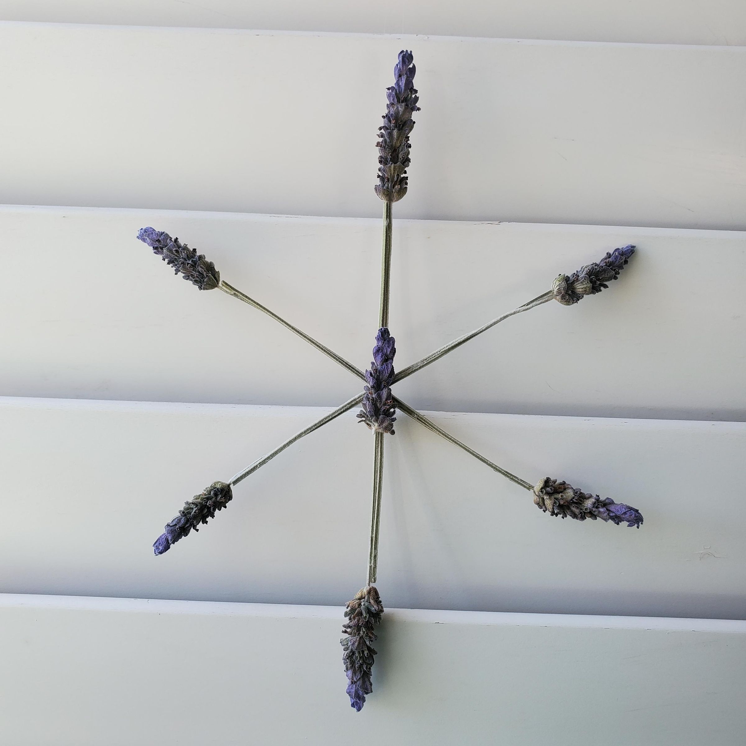Dried Lavender Snowflake : 5 Steps (with Pictures) - Instructables