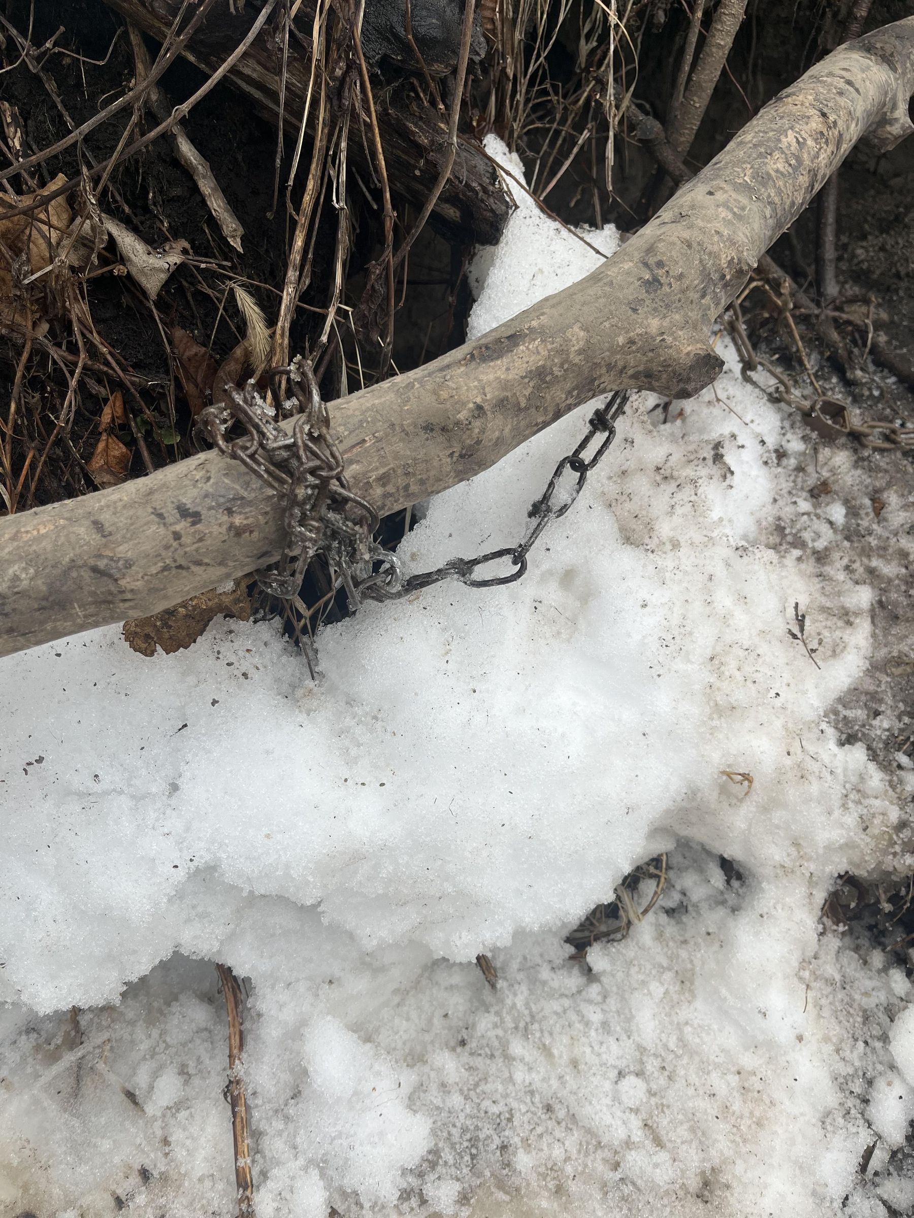 Trapping 101 : 4 Steps - Instructables