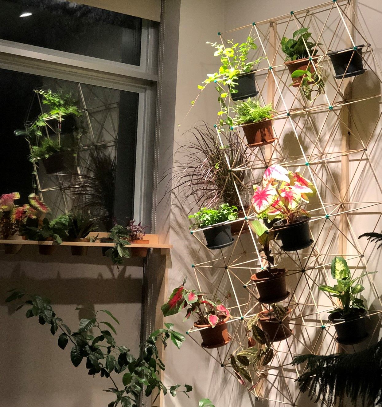 Green Wall Lattice : 8 Steps (with Pictures) - Instructables