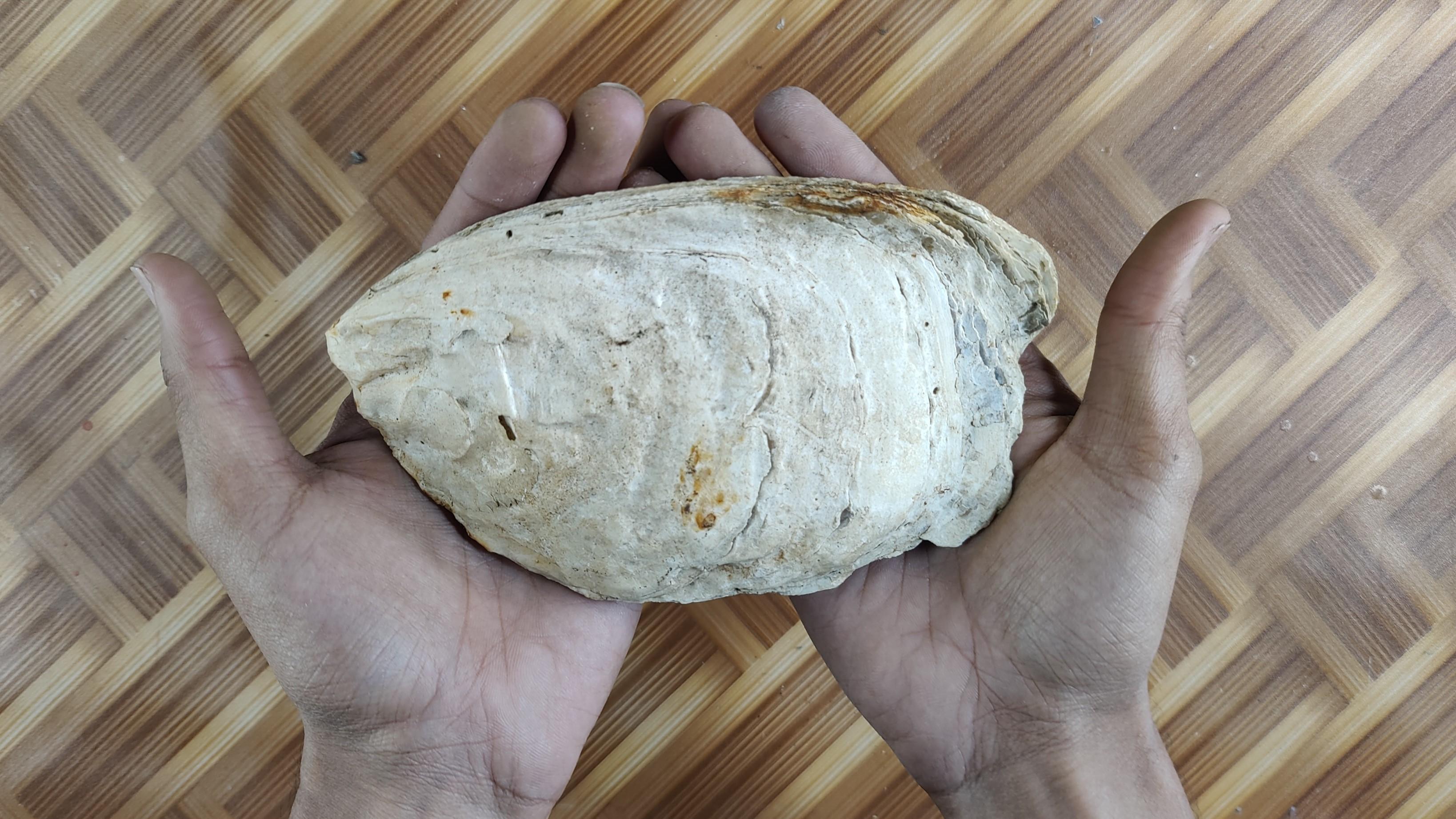 Seaside Serenity - Making an Ocean Diorama Seashell Clock With Epoxy ...