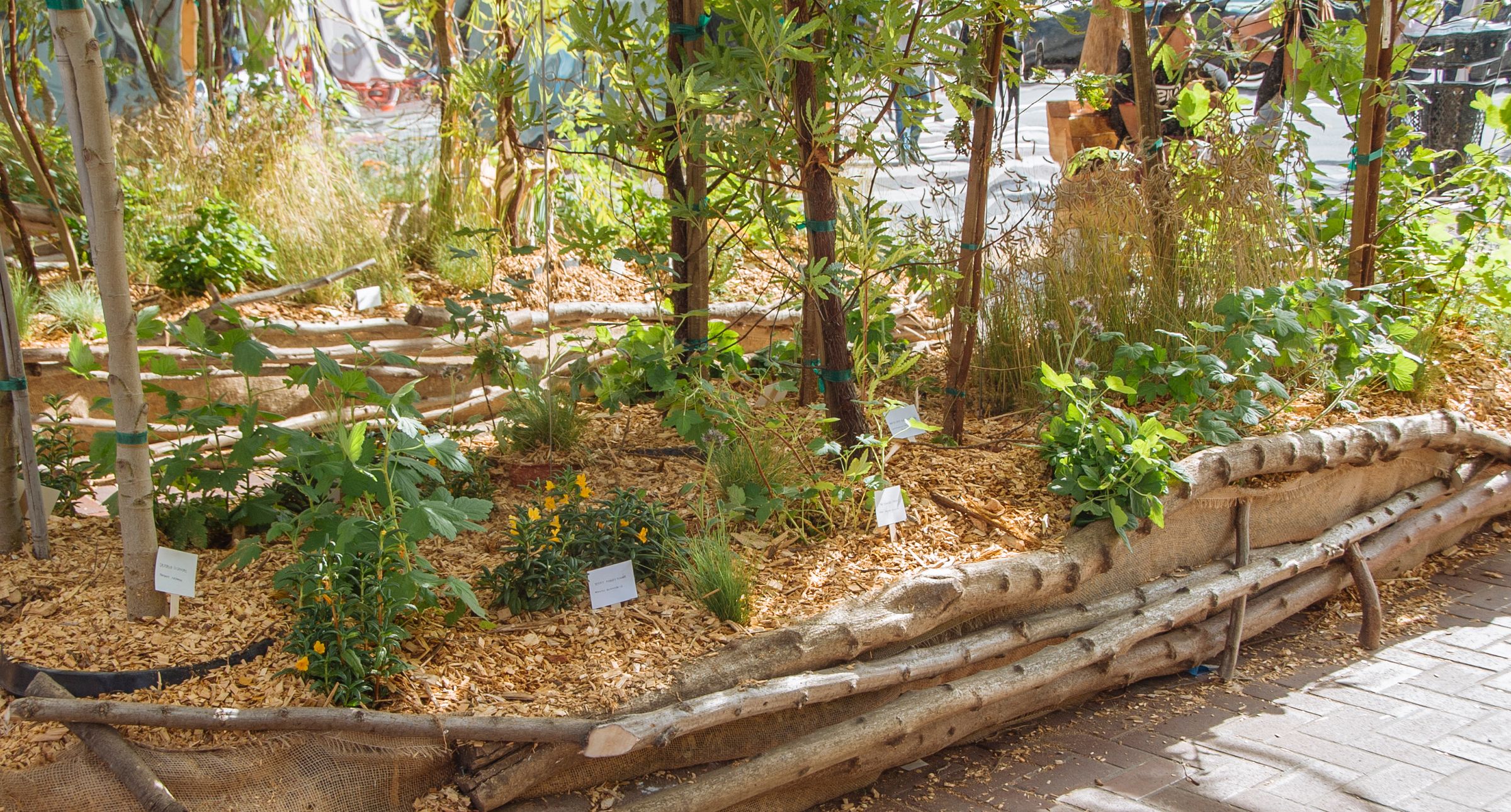 How to Create a Pop-Up Forest! : 6 Steps (with Pictures) - Instructables