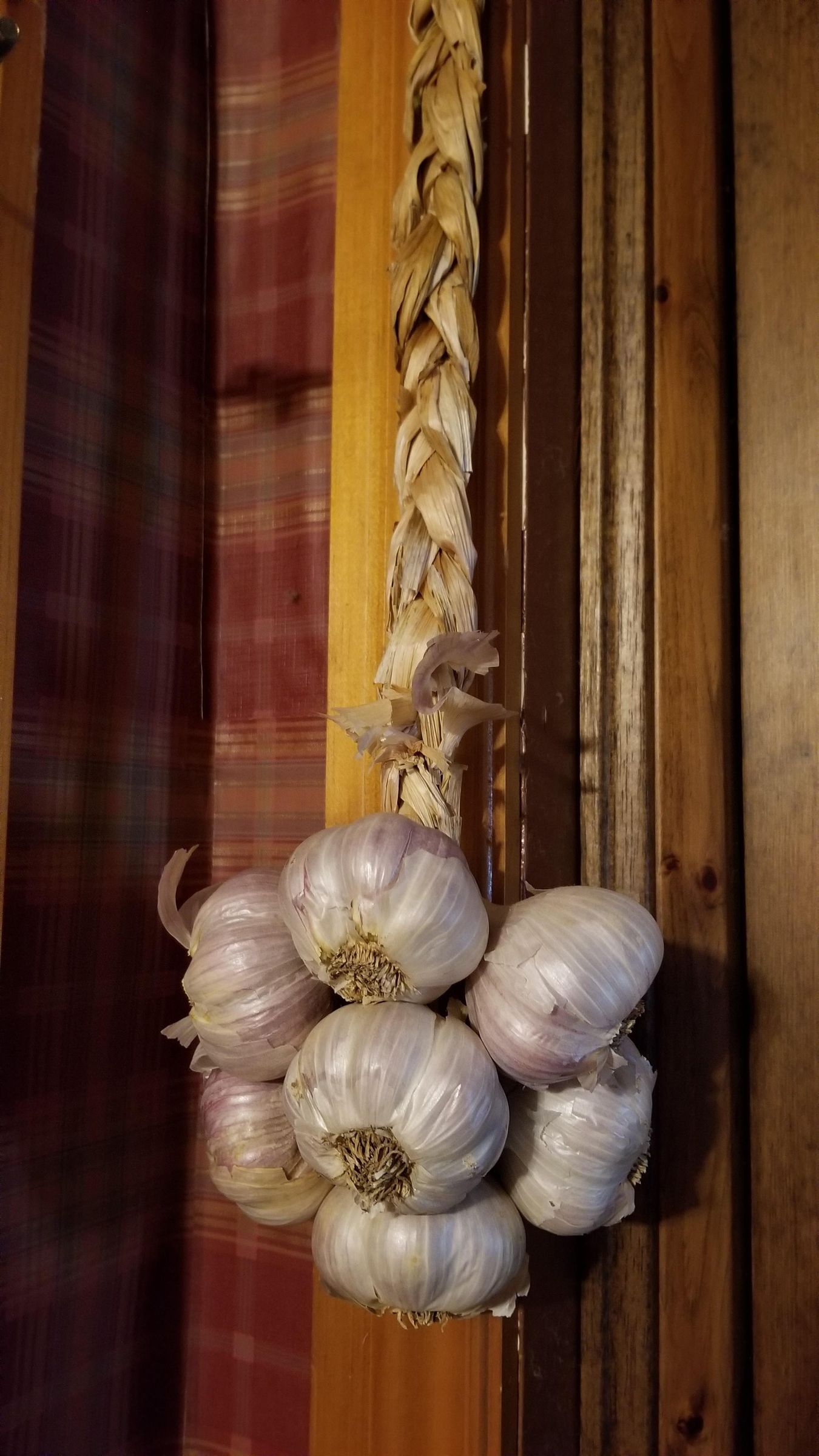 Garlic Gardening : 49 Steps (with Pictures) - Instructables