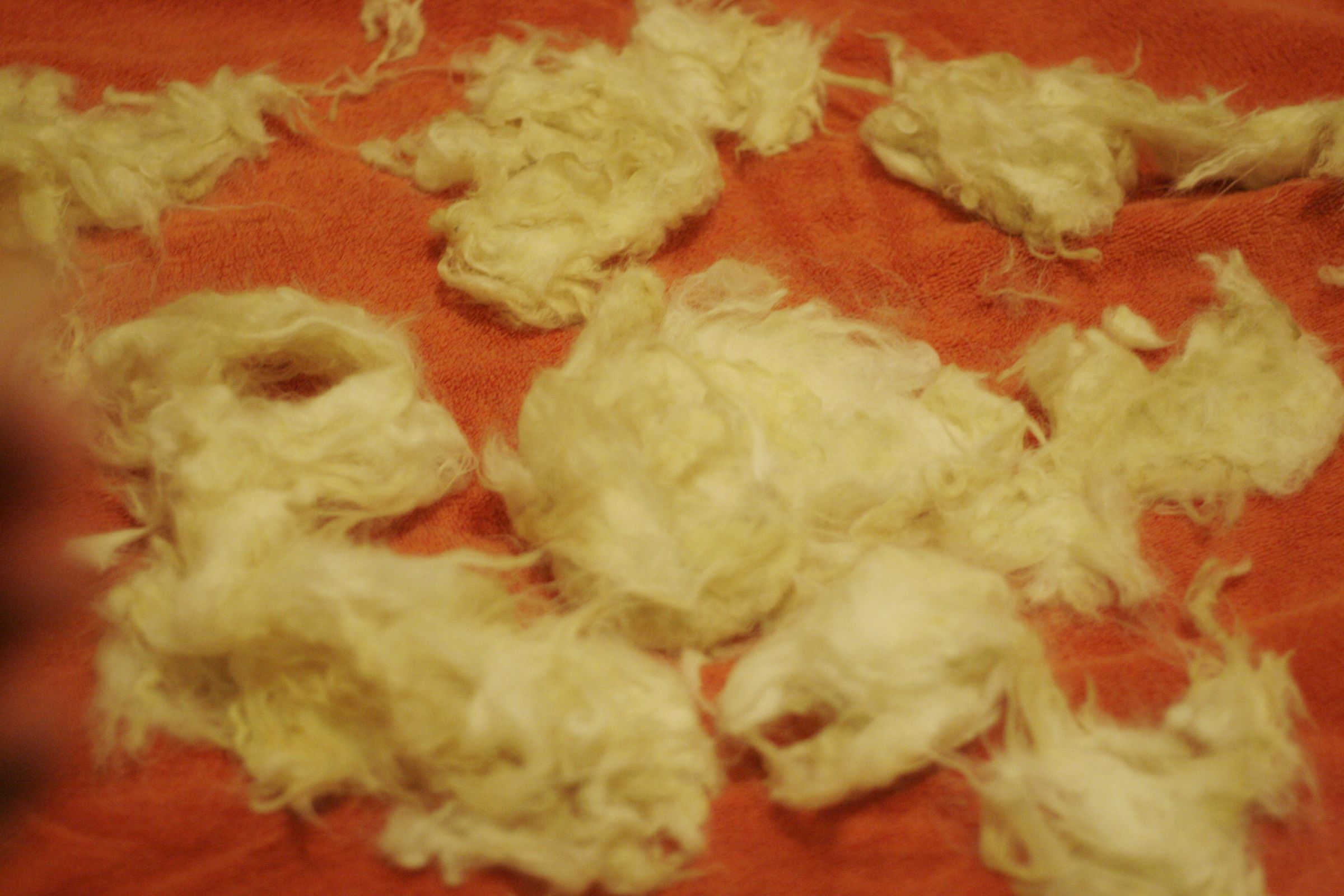 Wash Wool or Other Fibers for Spinning. : 5 Steps (with Pictures ...