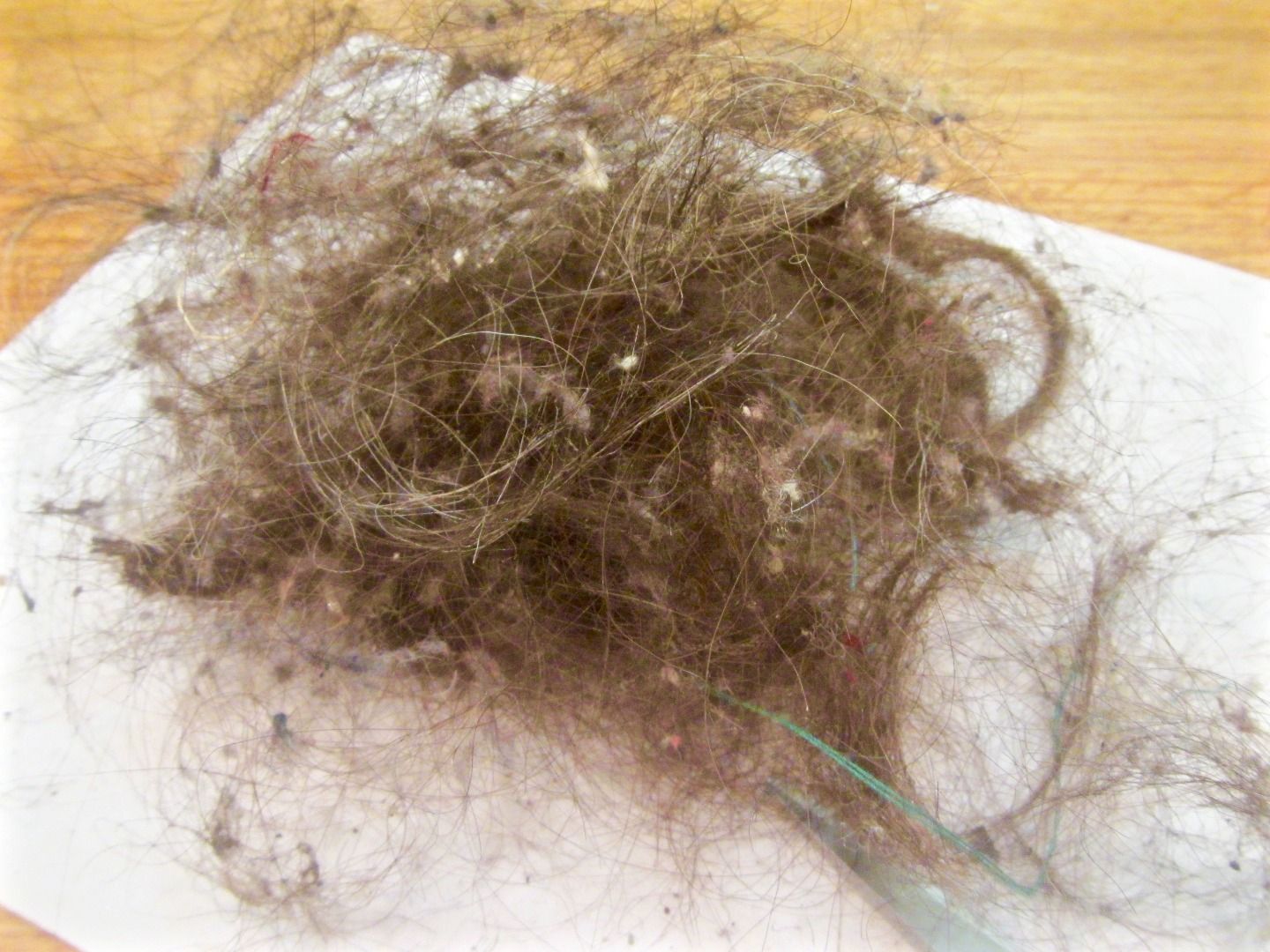 Clean Vacuum Roller Brush : 7 Steps (with Pictures) - Instructables