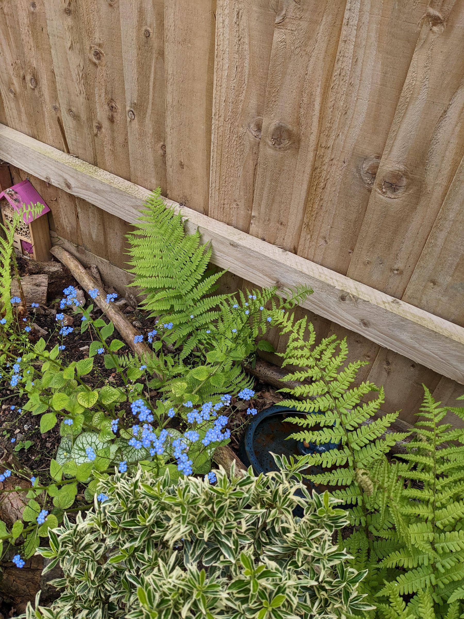 Creating a Beautiful Tiered Garden From a Boring New Build Slope : 8 ...