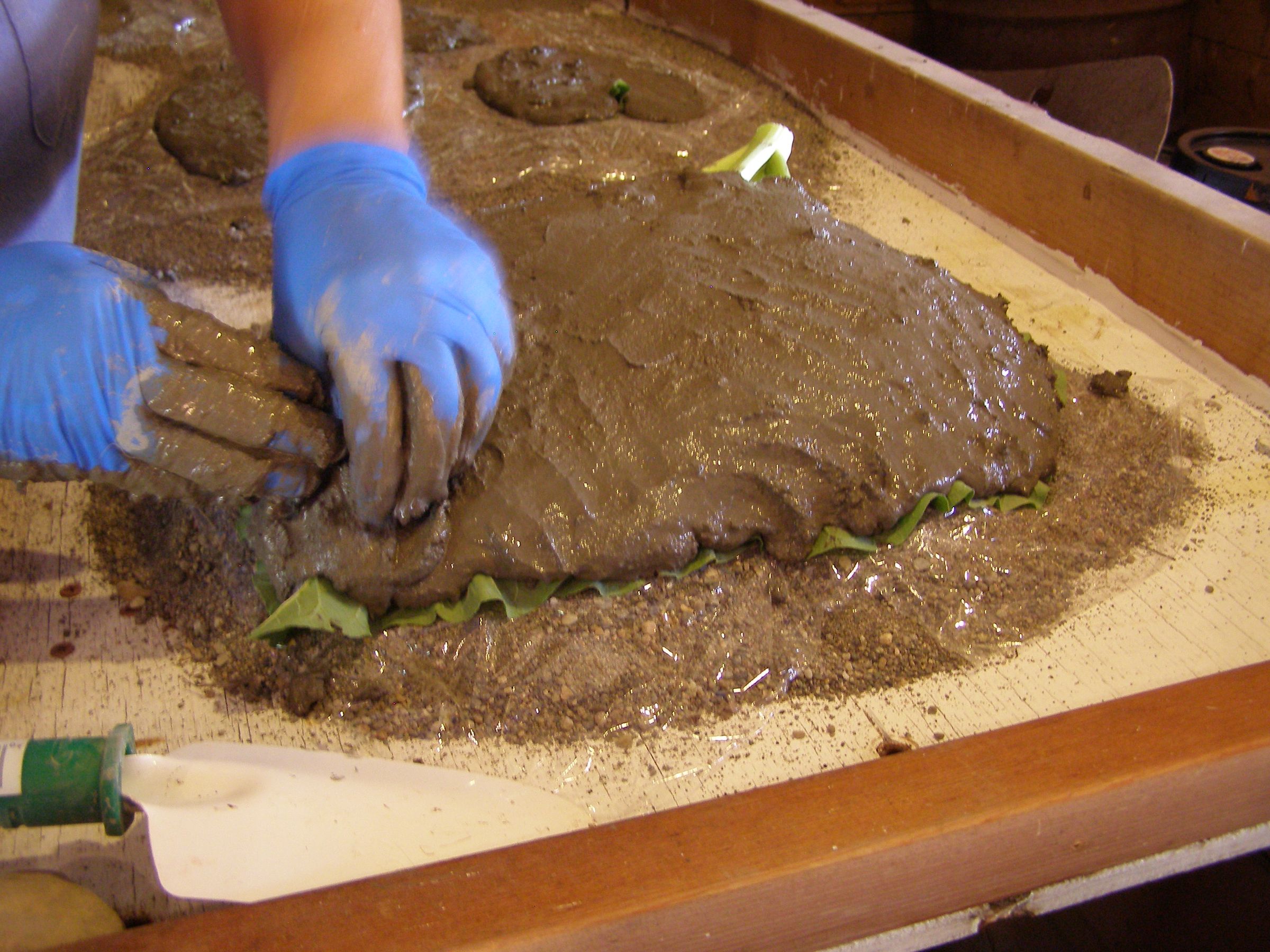 Concrete Leaves for Gardens or Fountains : 7 Steps (with Pictures ...