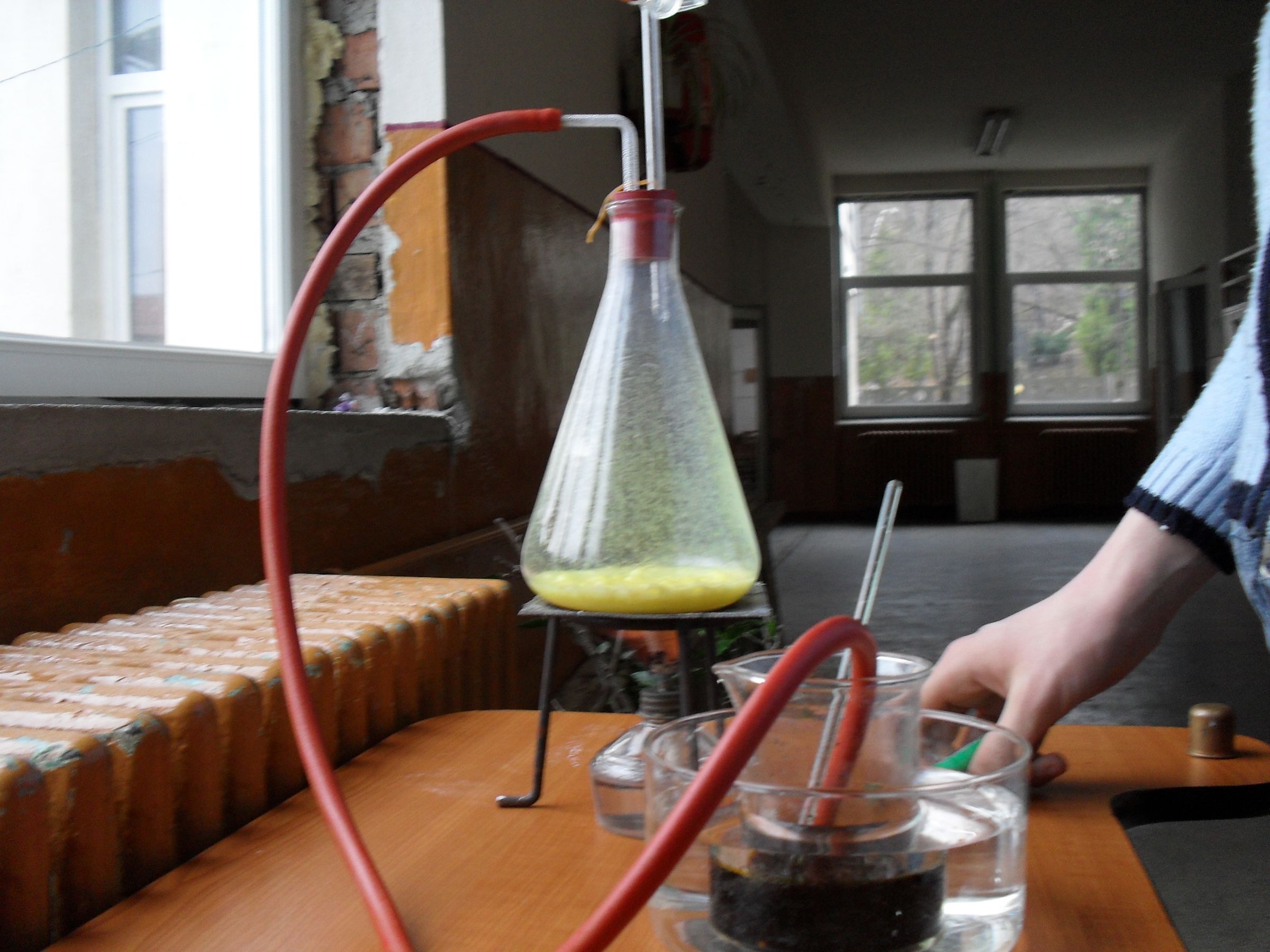 How to Grow Great Crystals : 14 Steps (with Pictures) - Instructables