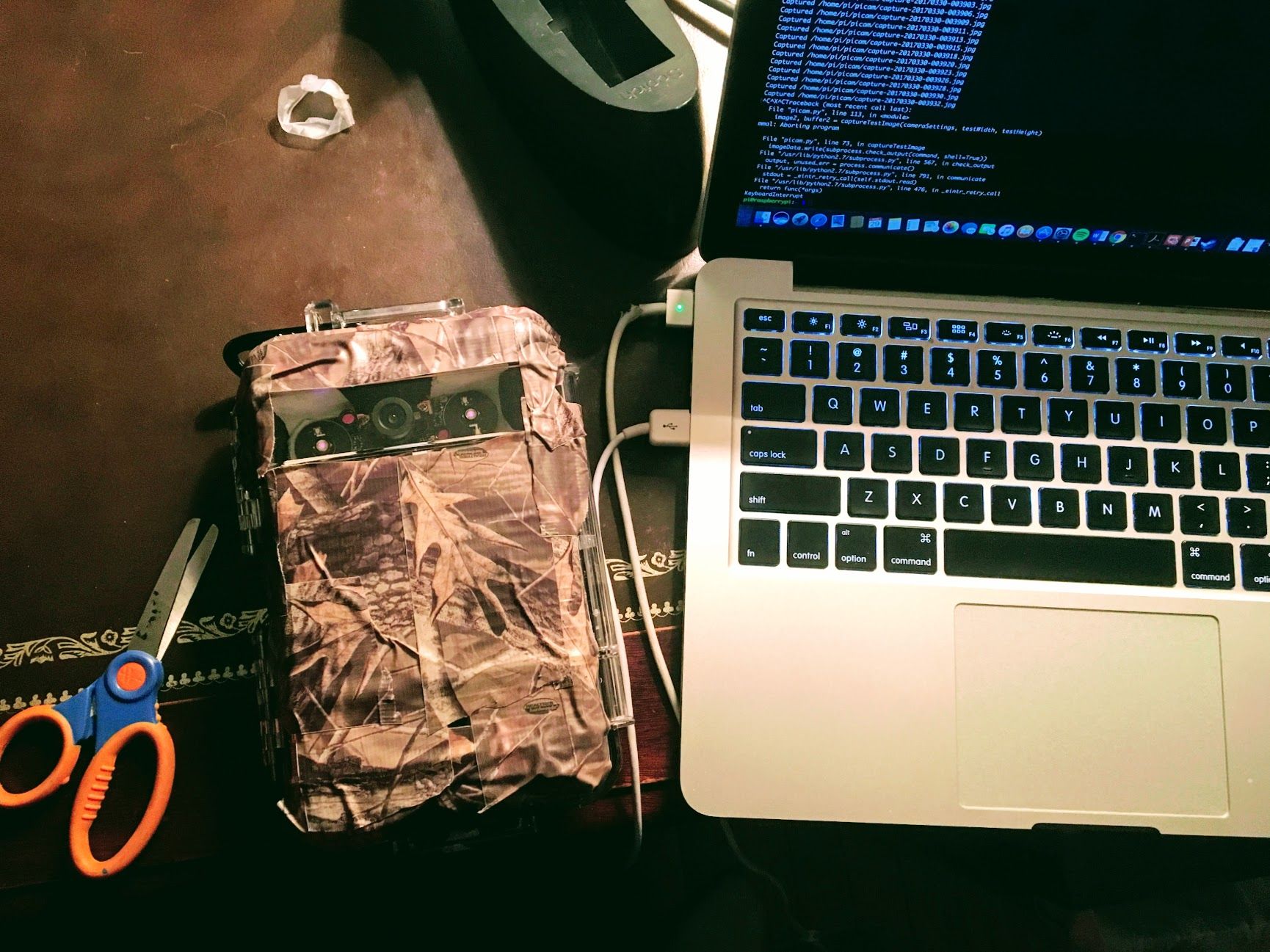 How to Make a Trail Camera Using a Picam Python Script : 5 Steps (with ...