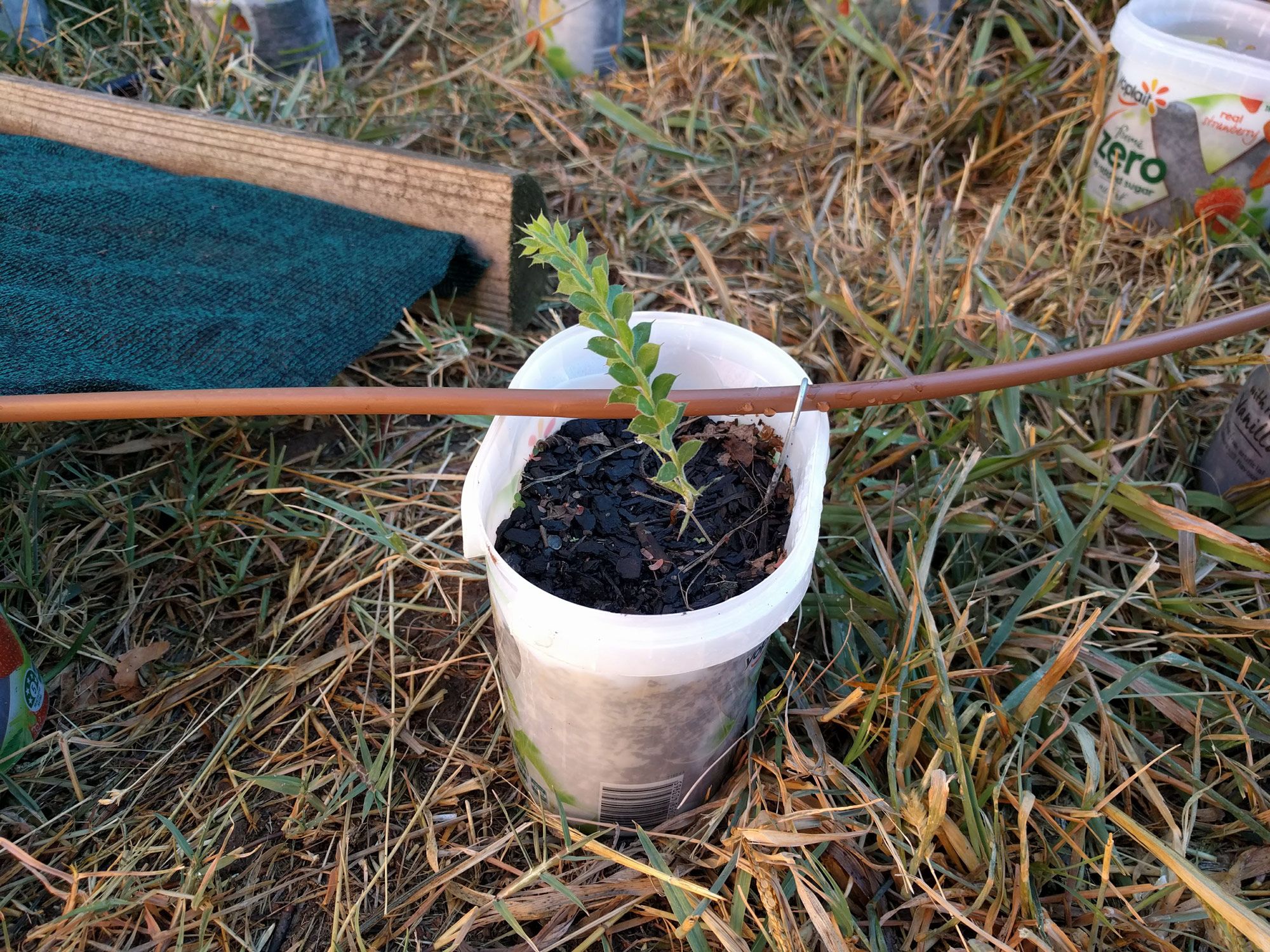 DIY - Automated Garden Irrigation - (Arduino / IOT) : 9 Steps (with Pictures) - Instructables