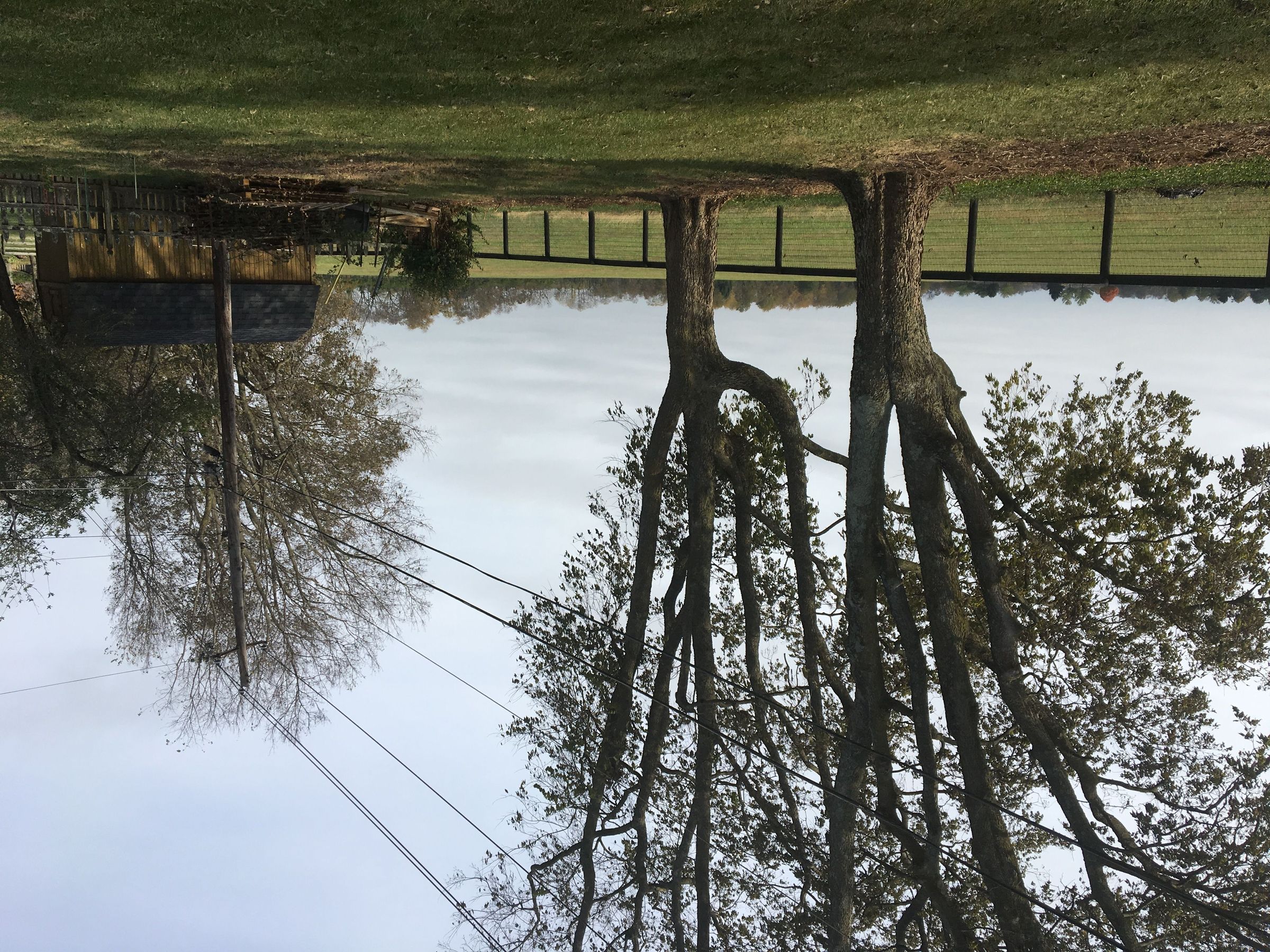 Epic Treehouse : 13 Steps (with Pictures) - Instructables