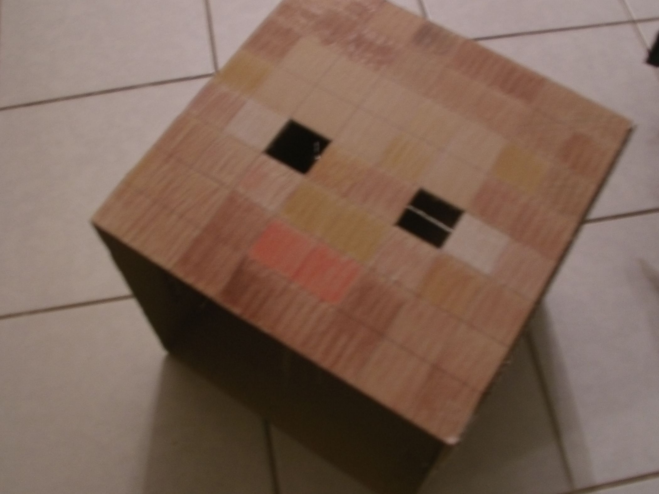 Minecraft Steve Head Cardboard : 4 Steps - Instructables
