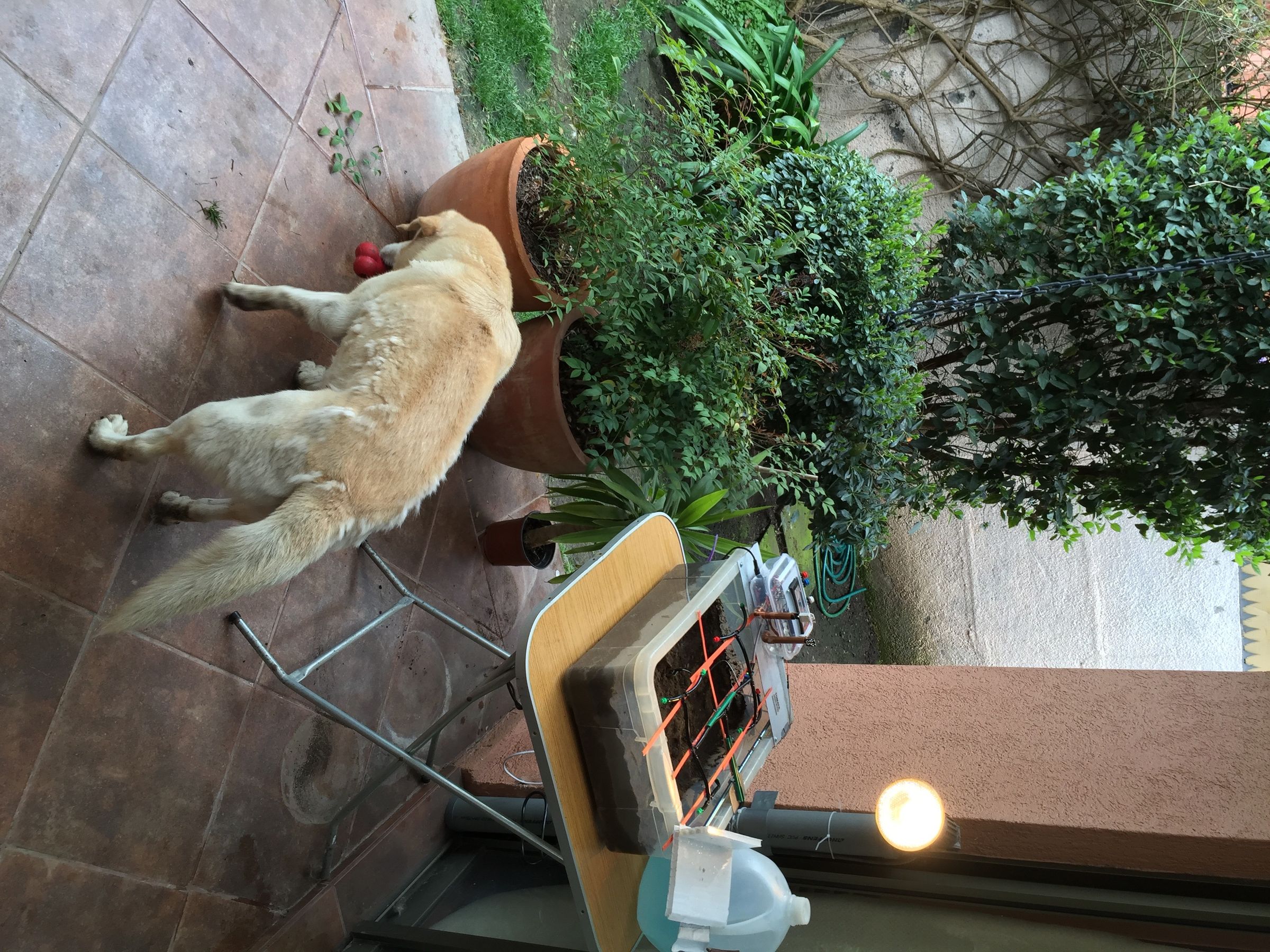 ArduFarmBot: Controlling a Tomato Home Farm Using Arduino and IoT : 13 ...
