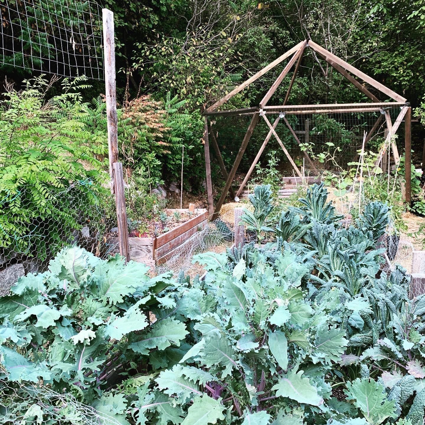 How to Build a Geodesic Dome : 3 Steps - Instructables