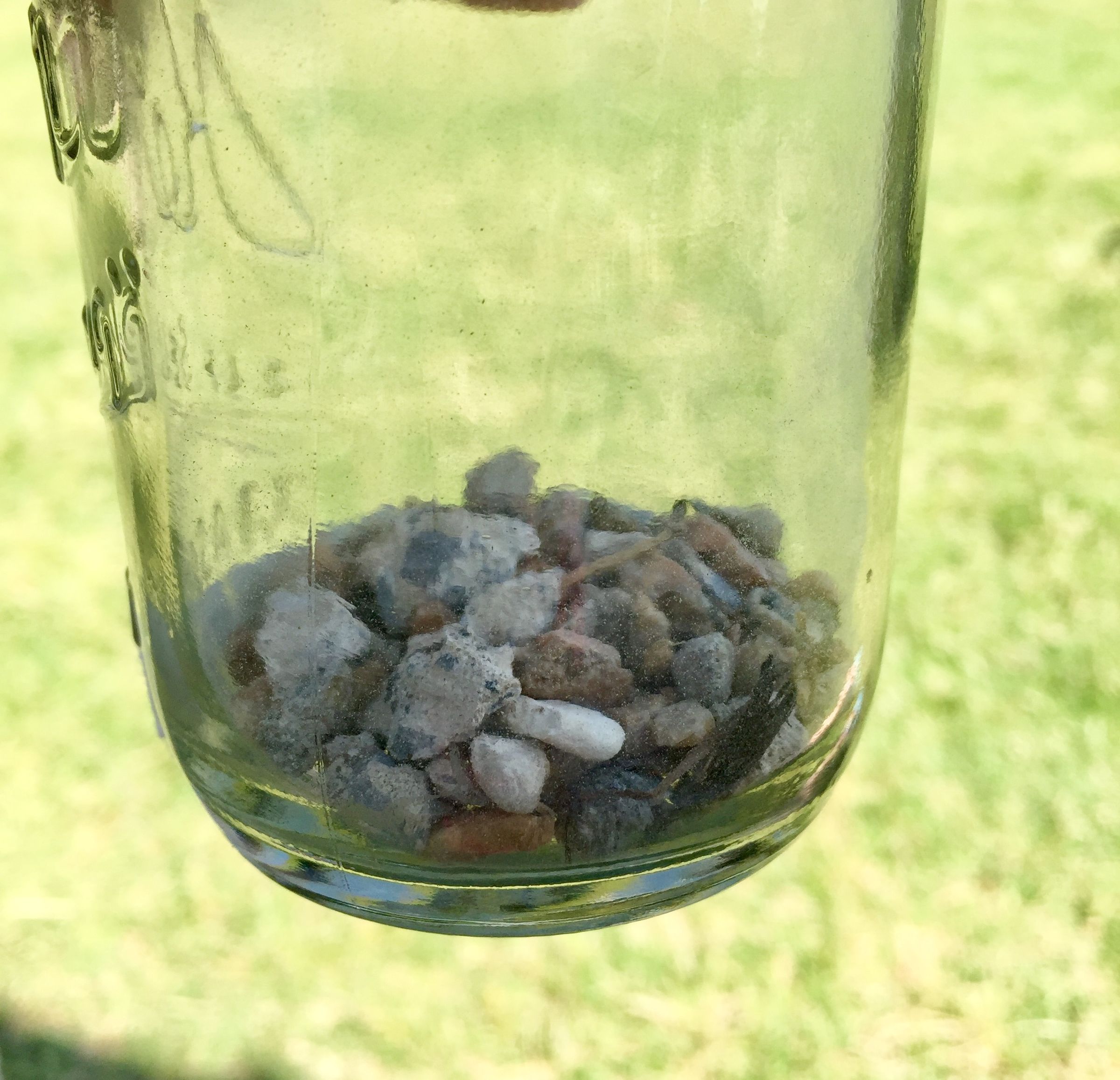 Mason Jar Terrarium : 6 Steps (with Pictures) - Instructables