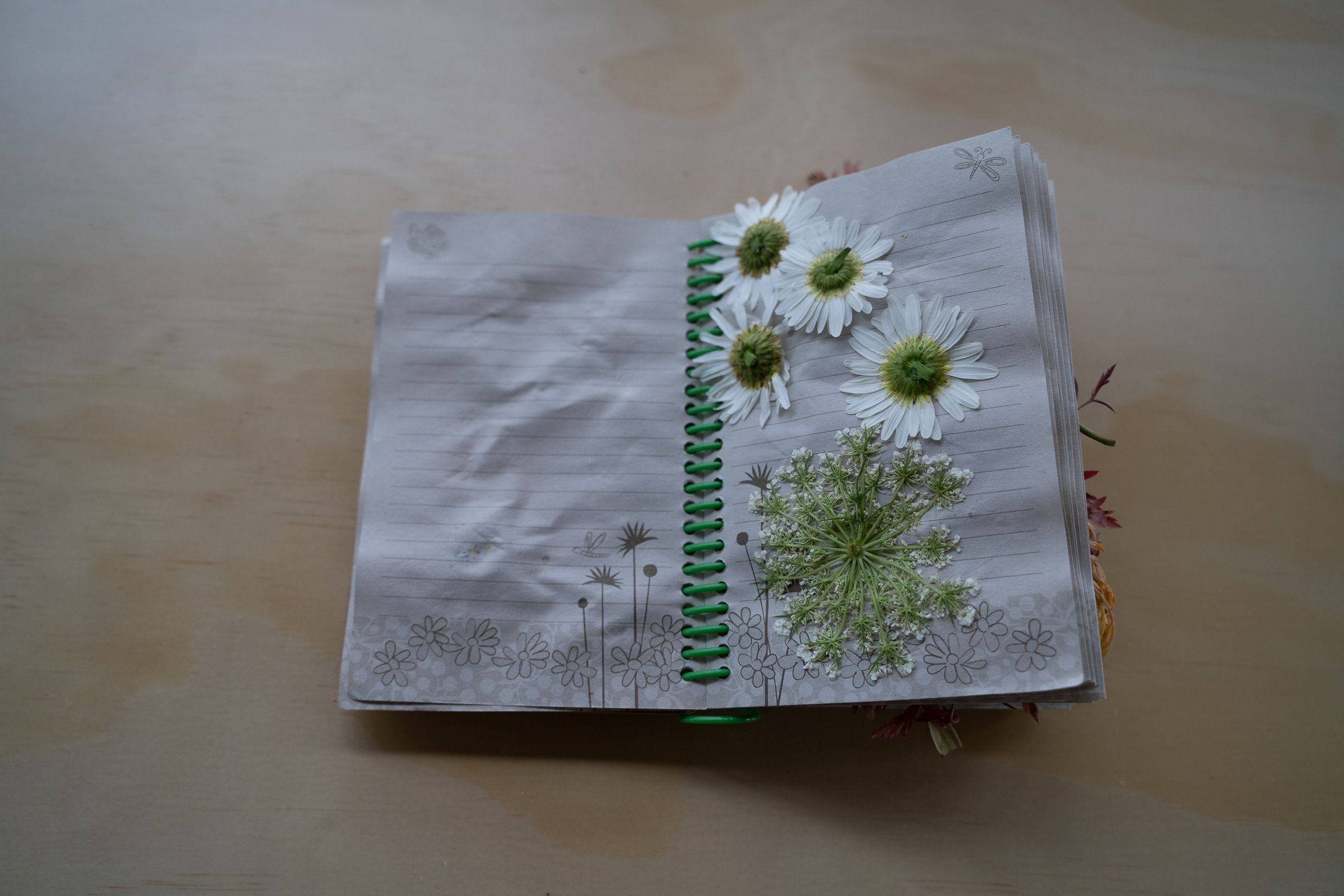 Creating a Map With Flowers + Constructing Your Own Artistic Style : 5 ...