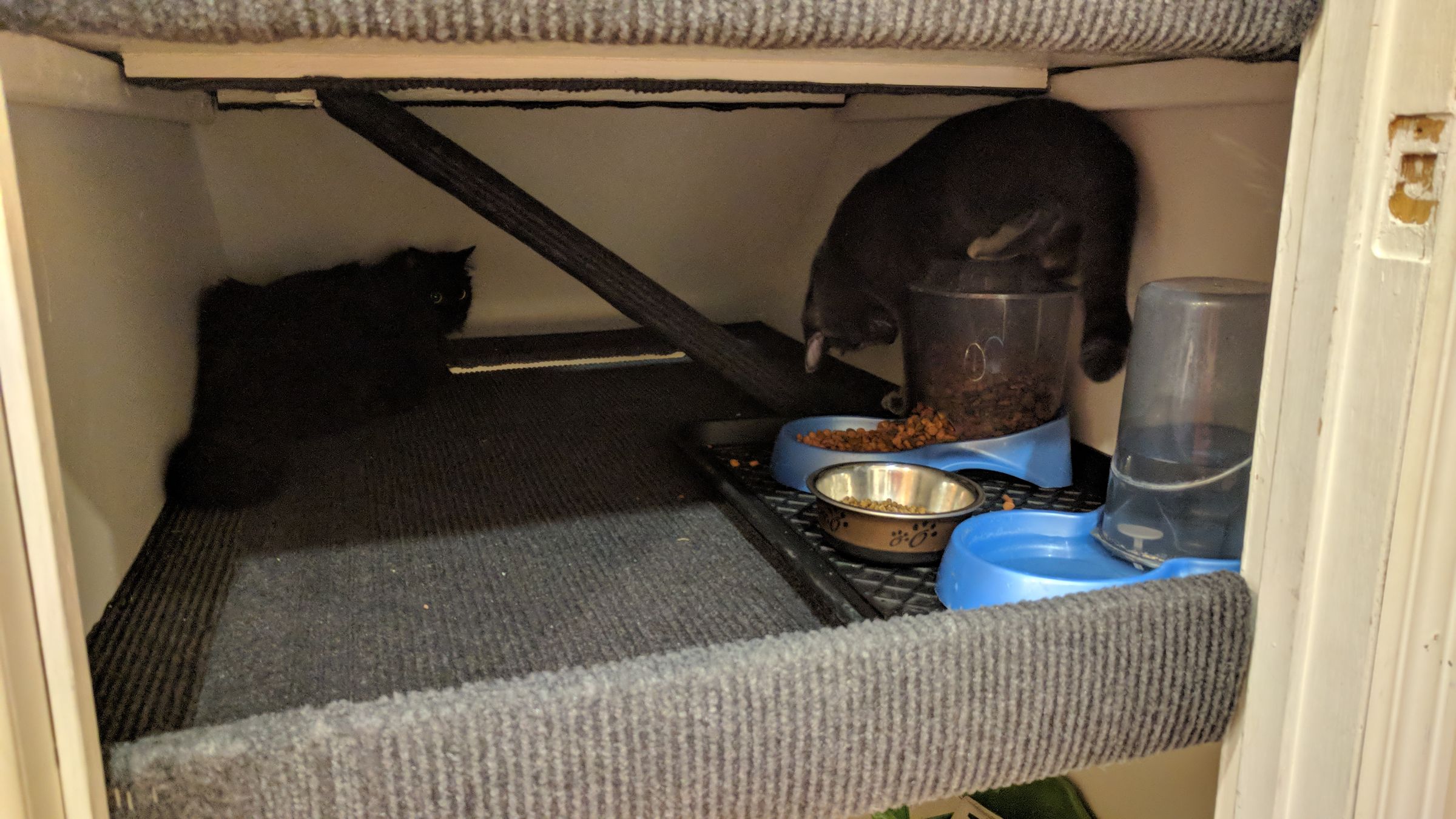 A Cat Chalet; Why Not? : 7 Steps (with Pictures) - Instructables