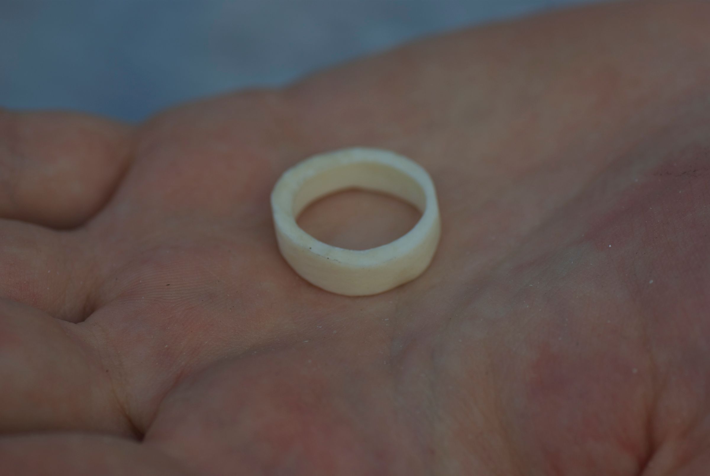 Celtic Knot Bone Ring : 9 Steps (with Pictures) - Instructables