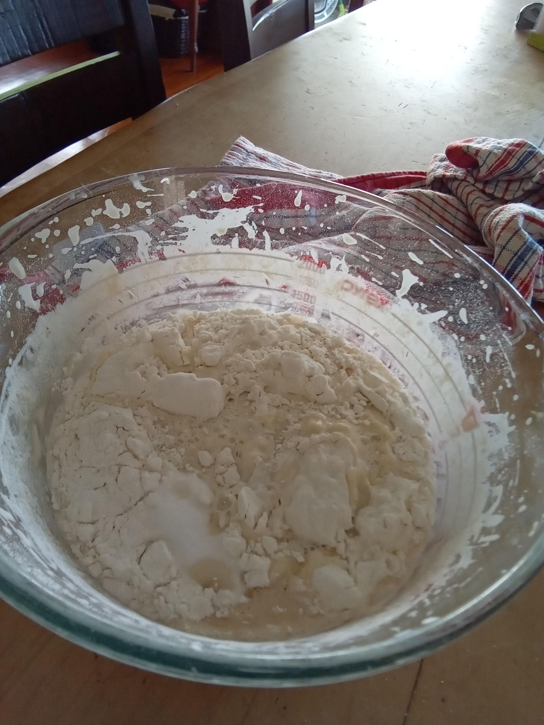 Herman the German Friendship Cake : 7 Steps (with Pictures) - Instructables