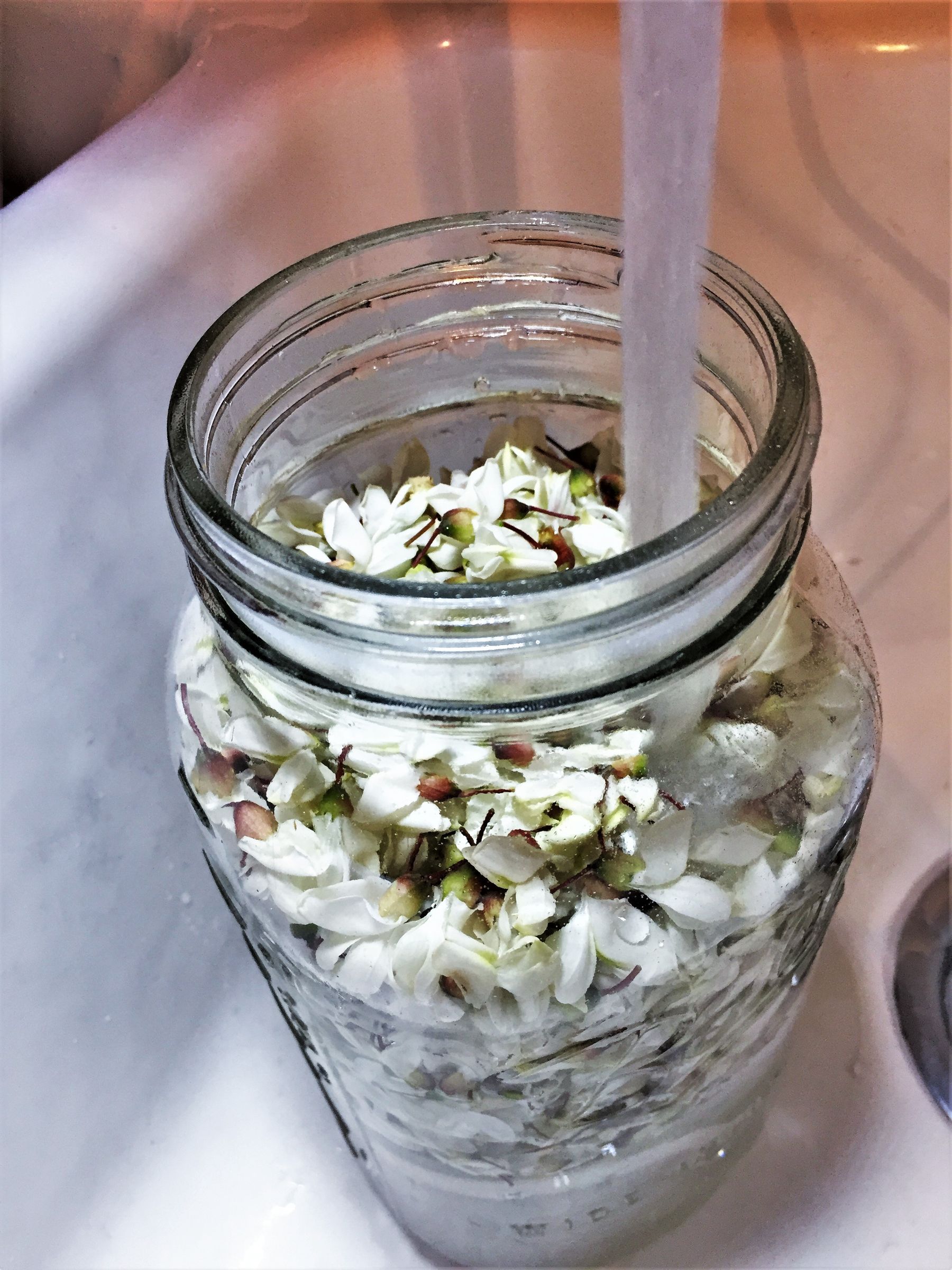 Black Locust Flower Cold Brew Tea : 4 Steps (with Pictures) - Instructables