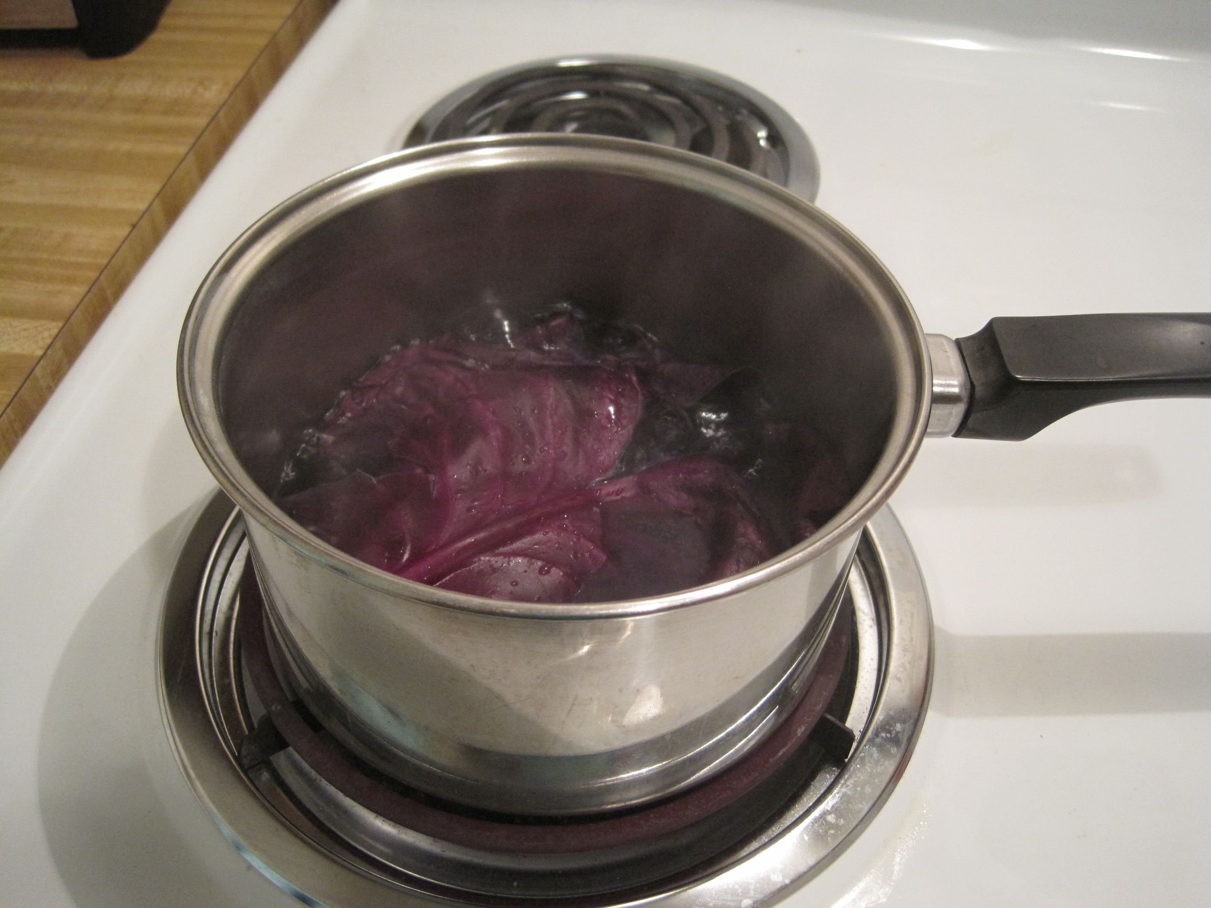 Red Cabbage PH Indicator : 14 Steps - Instructables