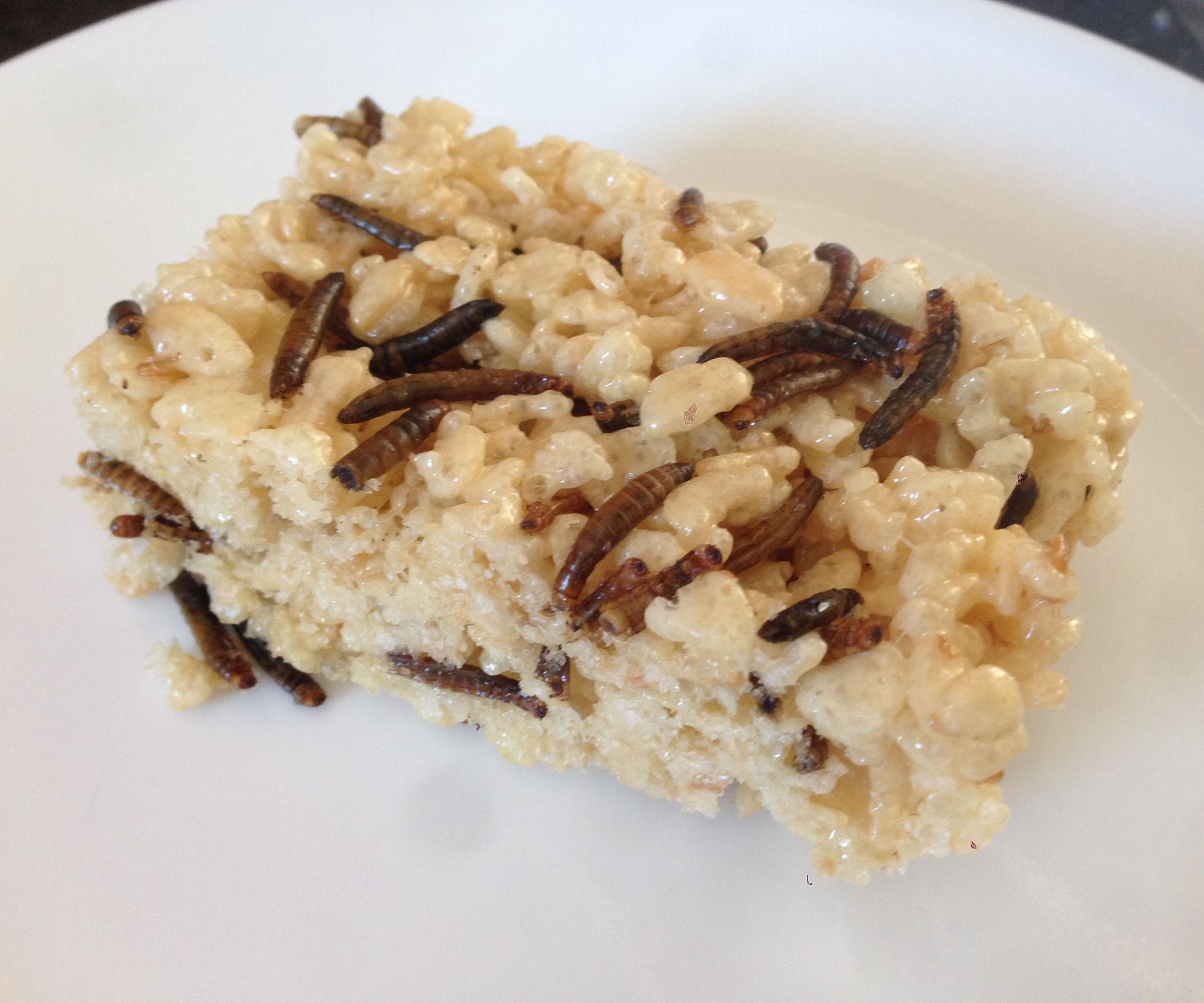 Rice Crispy Critter Treats : 7 Steps (with Pictures) - Instructables