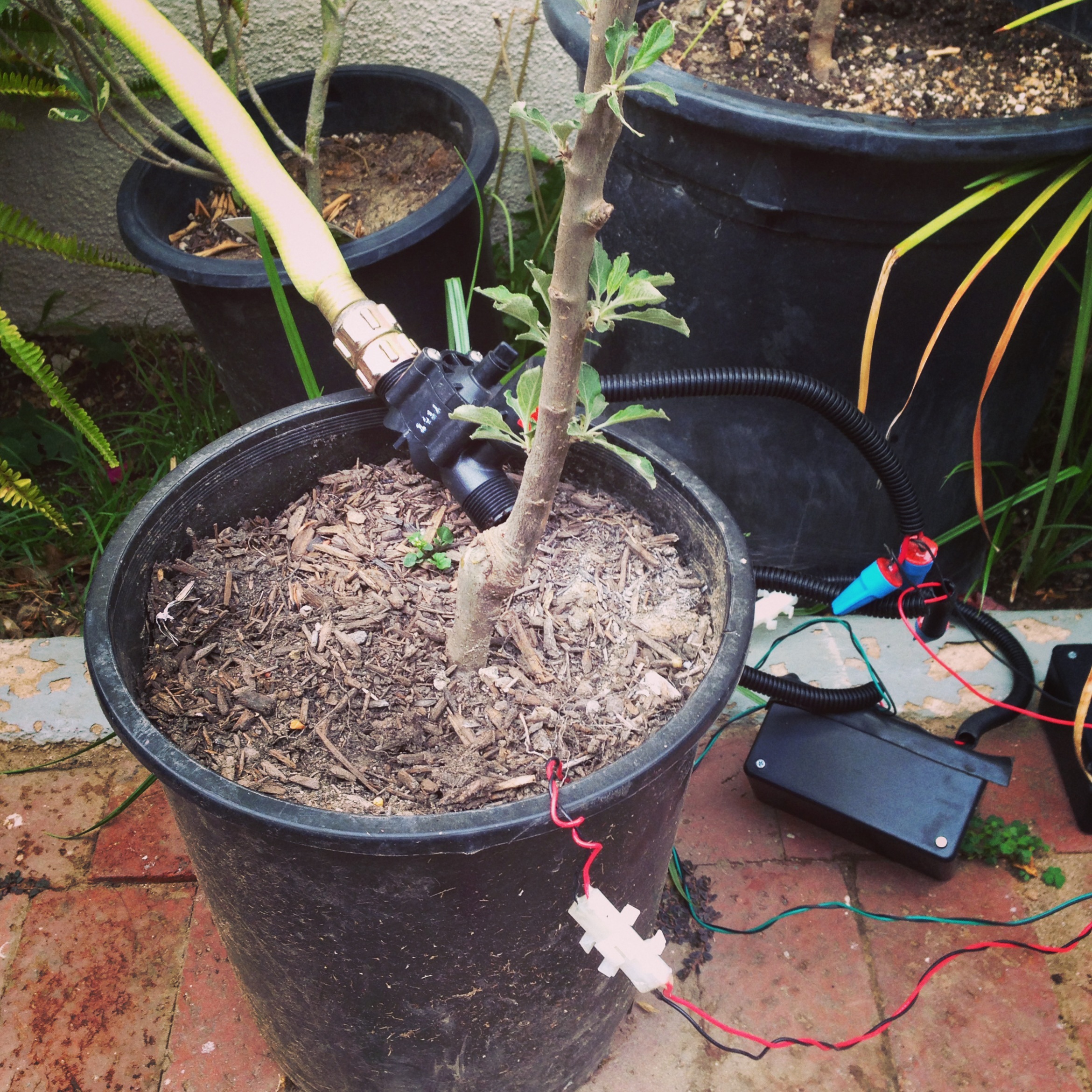 Raspberry Pi Irrigation Controller : 9 Steps (with Pictures ...