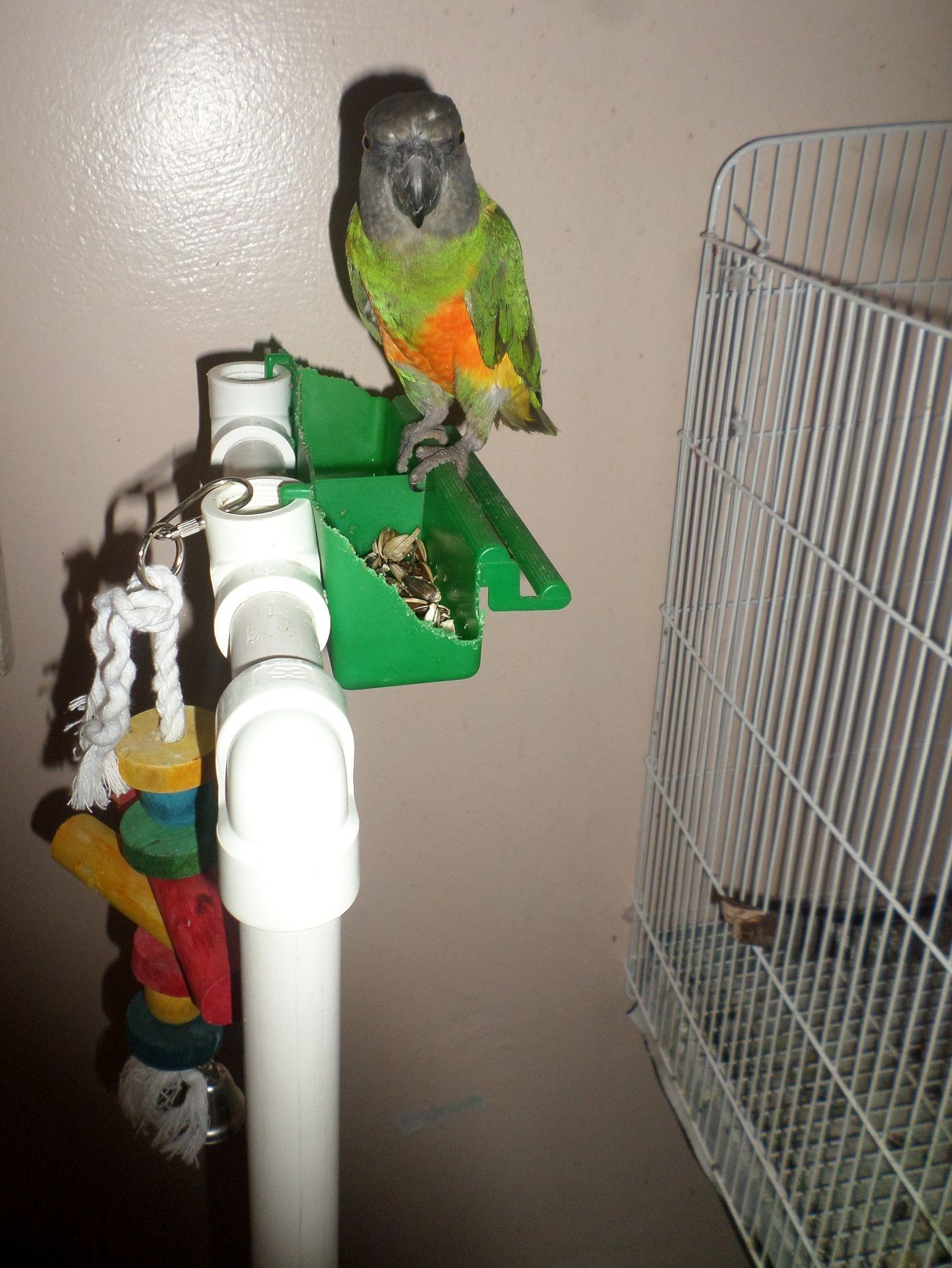 DIY BIRD STAND : 8 Steps (with Pictures) - Instructables