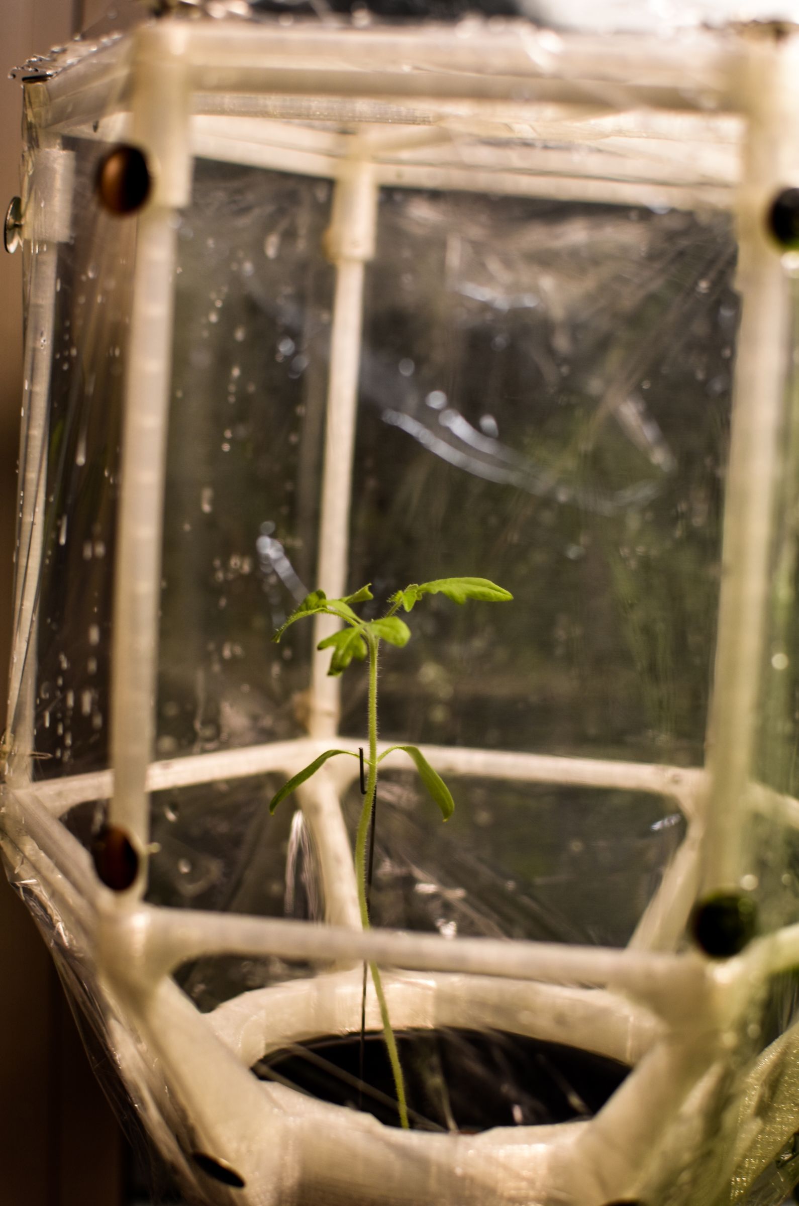 Expandable Mason Jar Greenhouse : 7 Steps (with Pictures) - Instructables