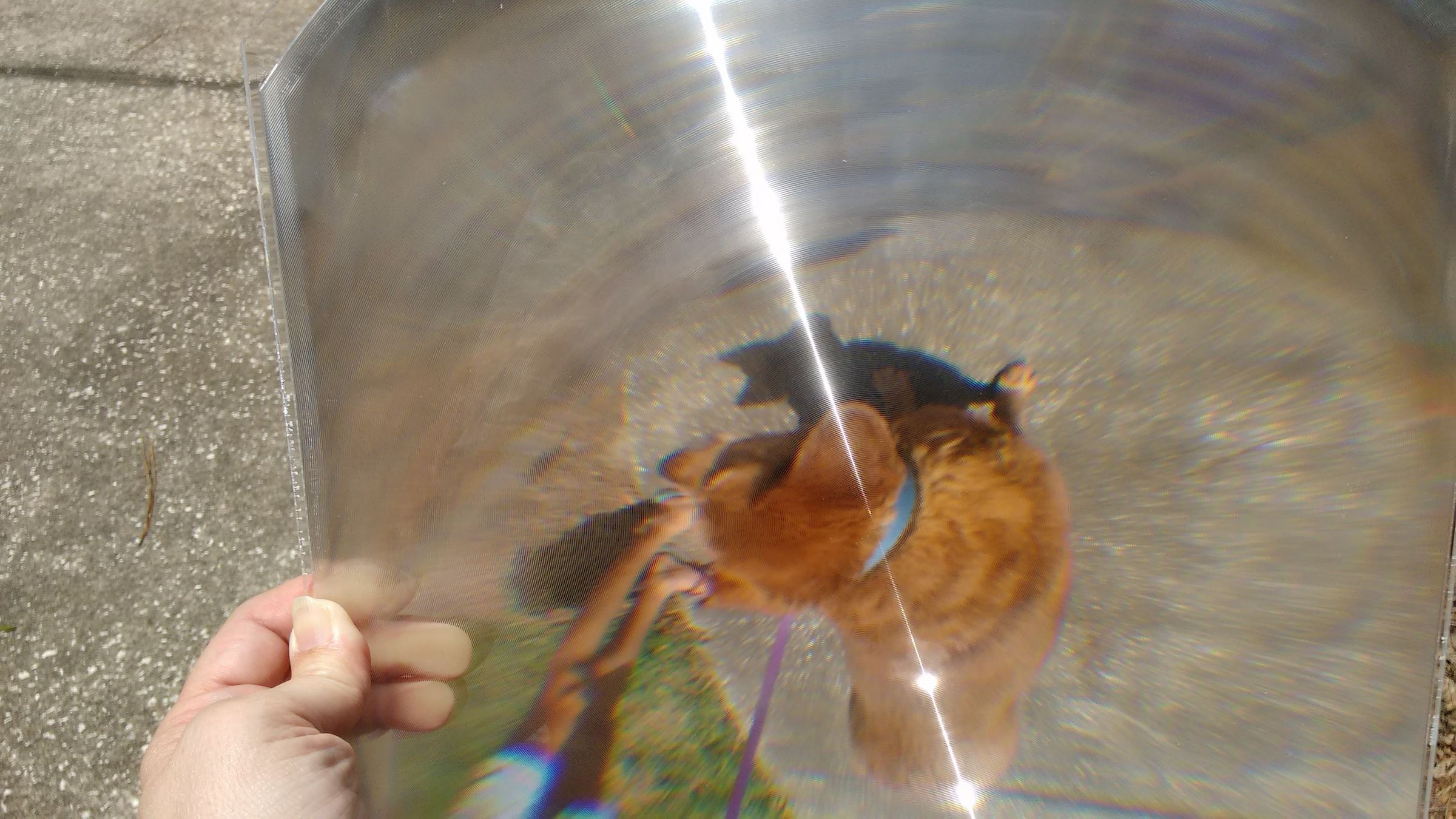 Overhead Projector Salvage : 12 Steps (with Pictures) - Instructables