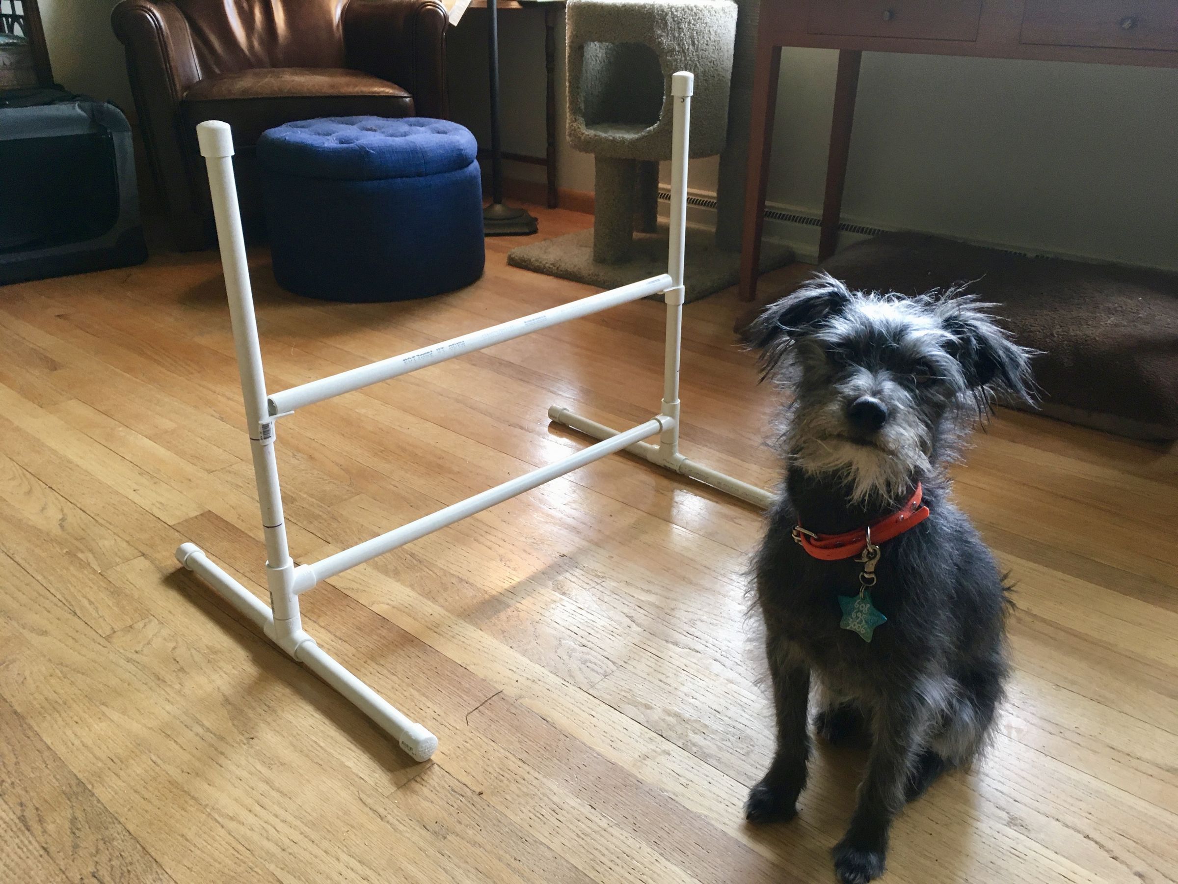 Build a Small Agility Jump : 4 Steps (with Pictures) - Instructables