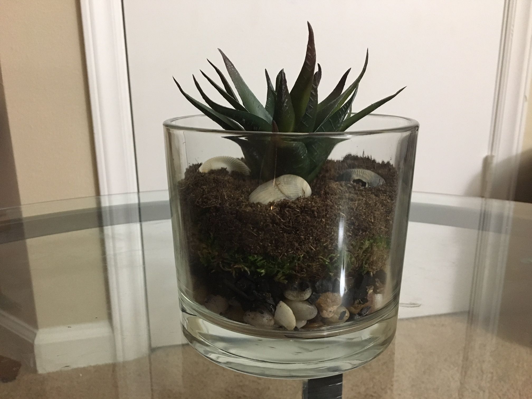 How to Make a Terrarium : 11 Steps (with Pictures) - Instructables